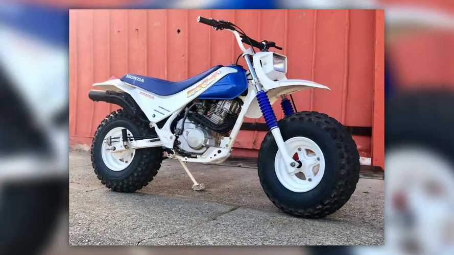 Cycelweird: Honda TR200 Fat Cat