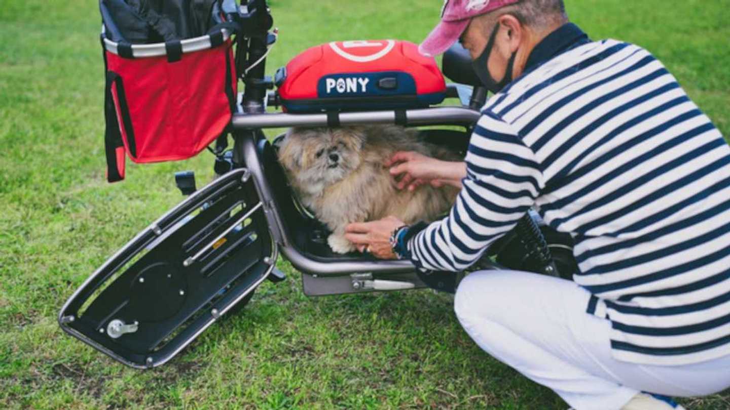 Take Your Furry Friends For A Ride With The Pony Dog Bike