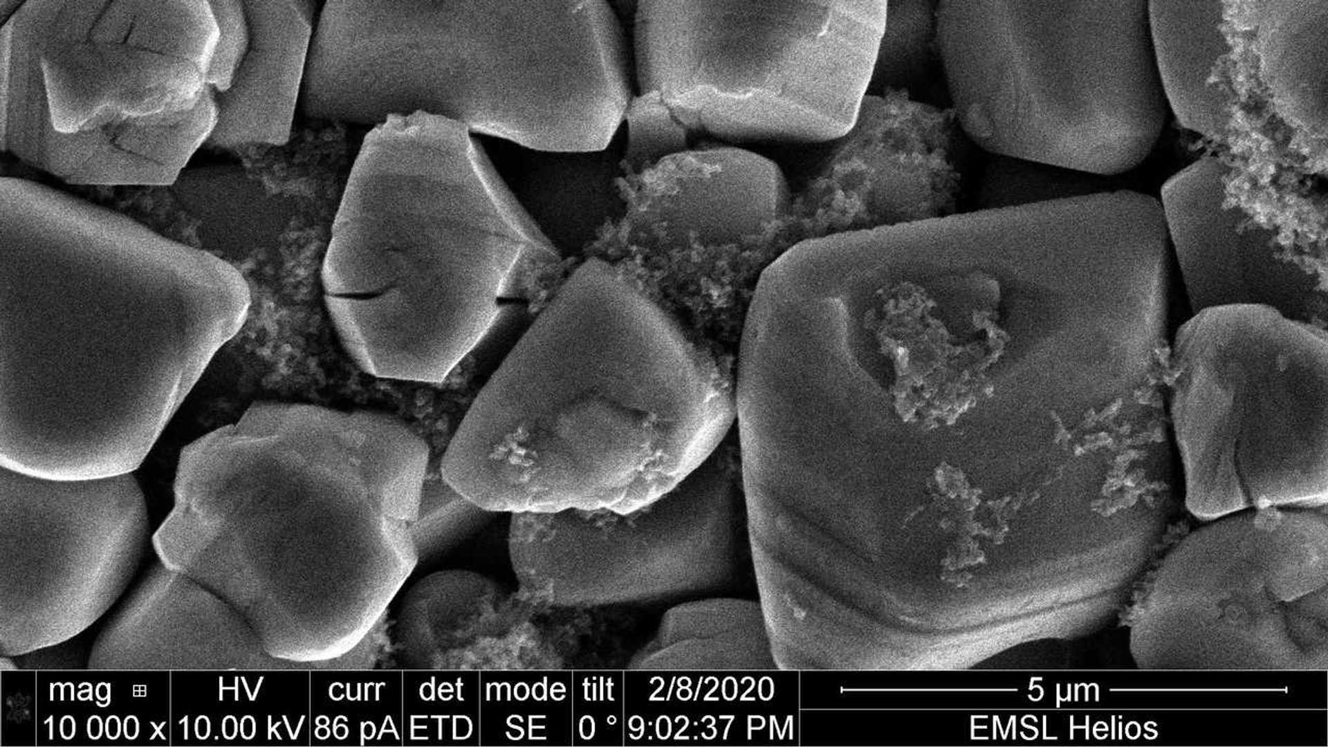 This Is Not Cheese: It Is A Single-Crystal Ni-Rich Cathode In Action