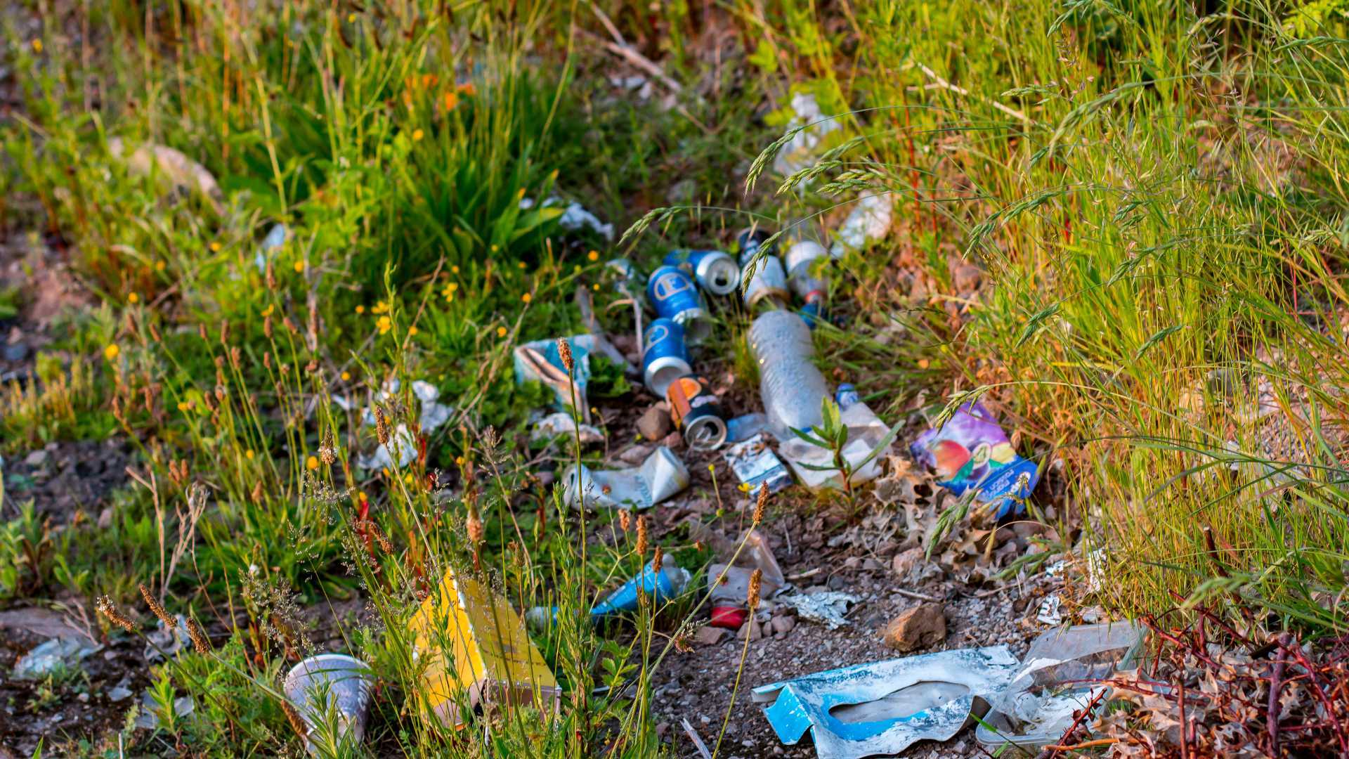 Drivers urged to cut littering amid September spruce-up