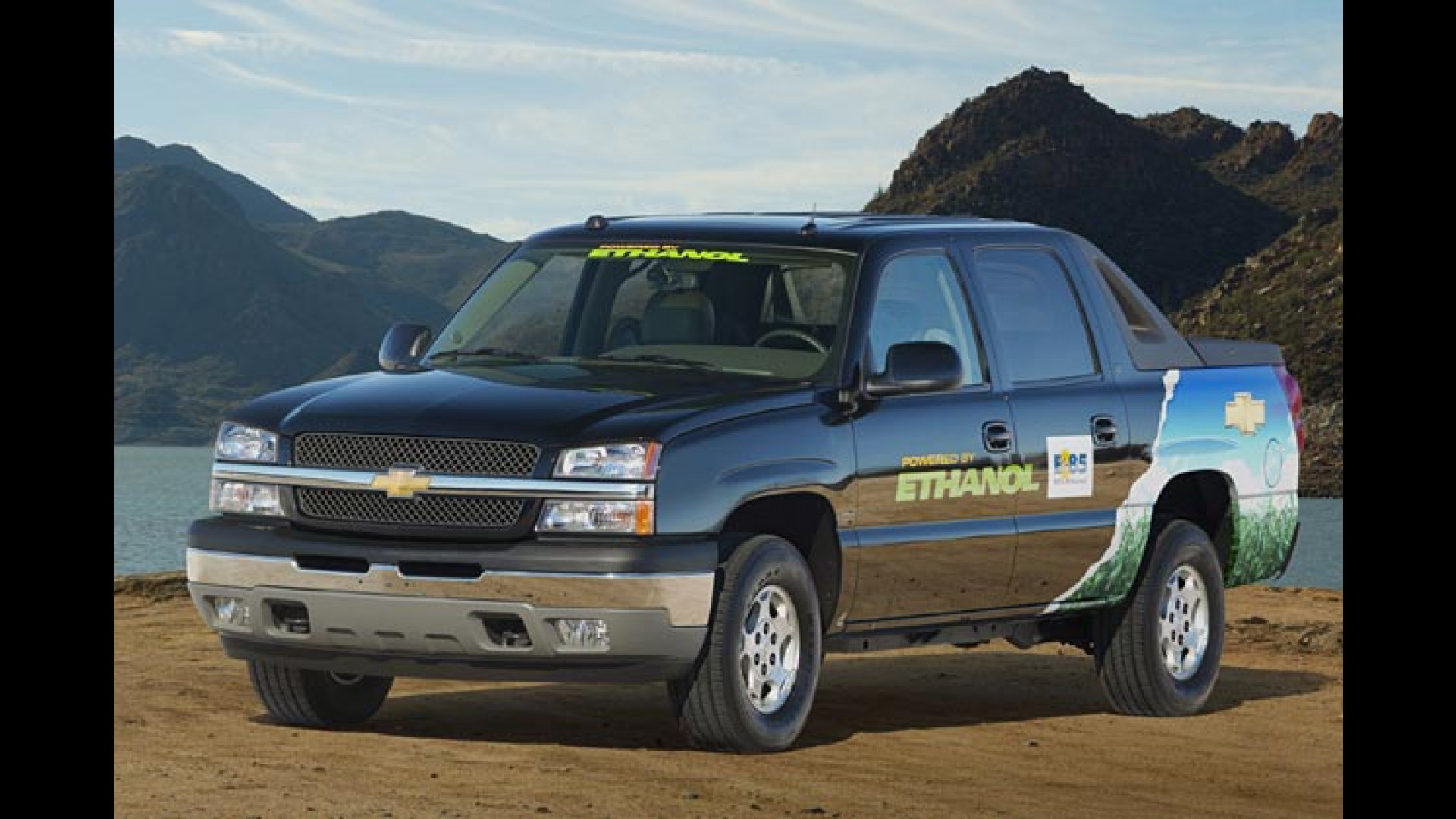 ,Grassoline": Bioethanol-Sprit aus billigen Pflanzenabfällen