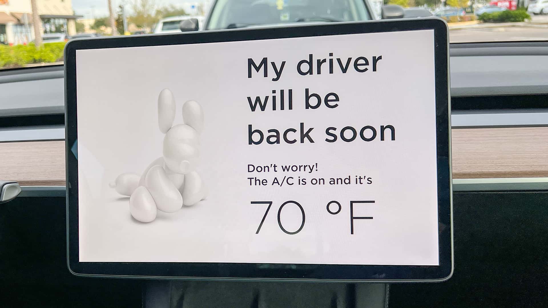 Tesla Dog Mode: How Does It Work?