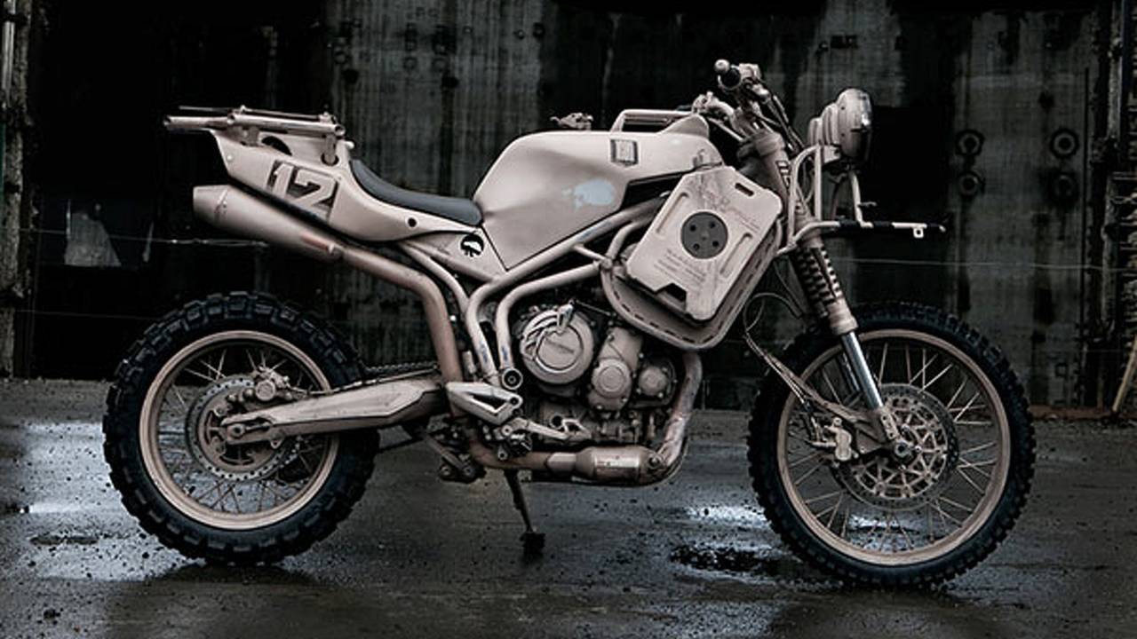 Custom: Icon 1000 Dromedarii