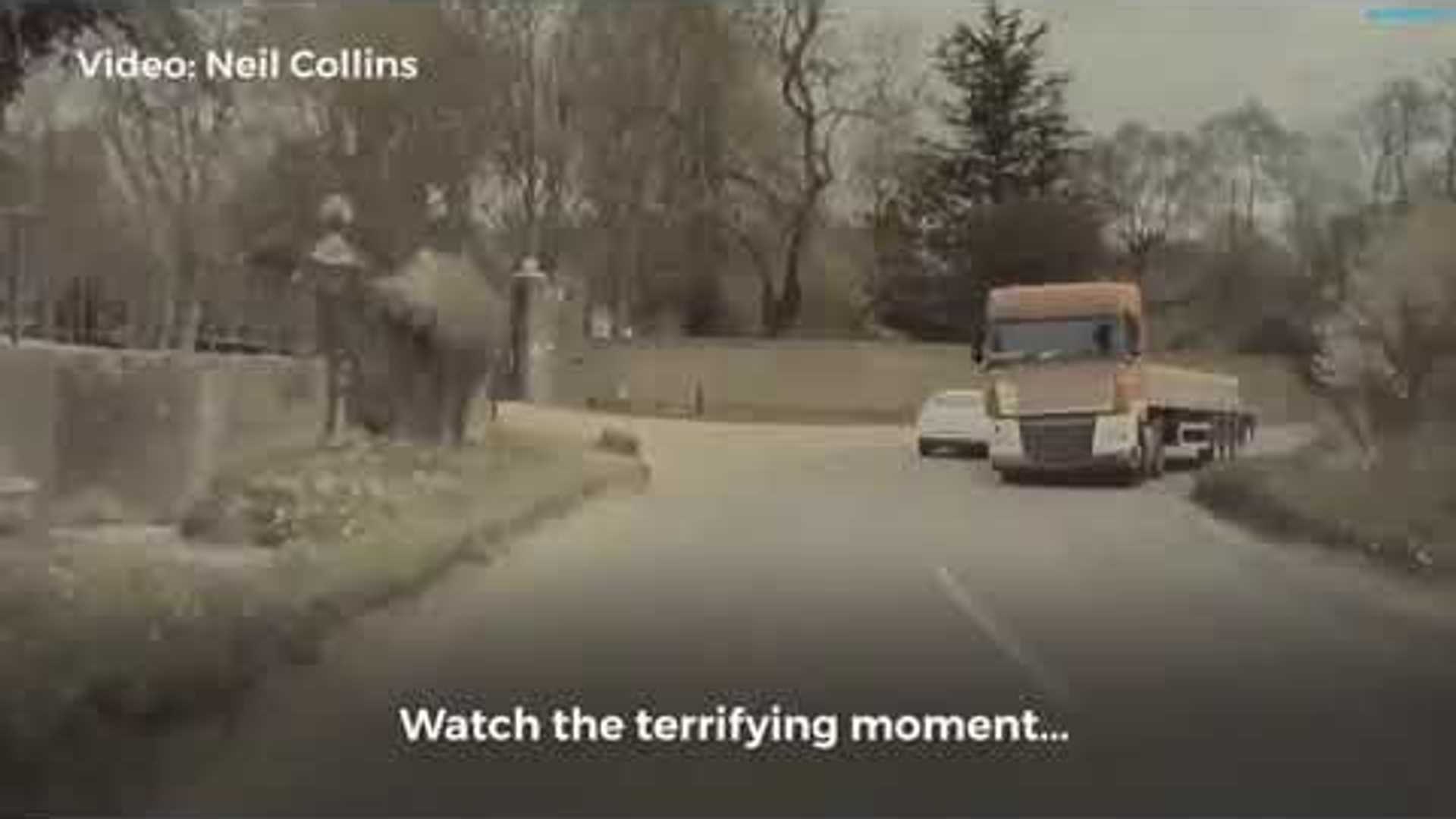 Tesla Model 3 Gets Crushed With Concrete Blocks, Owner Walks Away