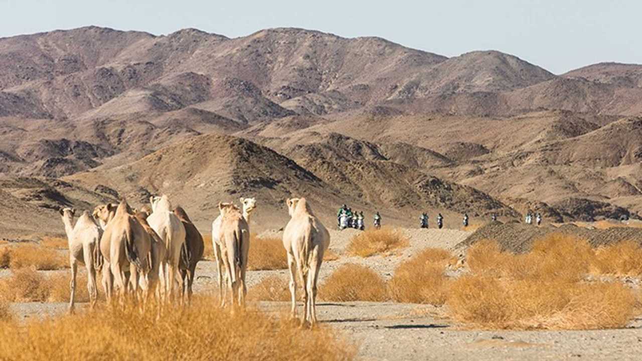 The 2021 Edition Of The Cross Egypt Challenge Is A Go