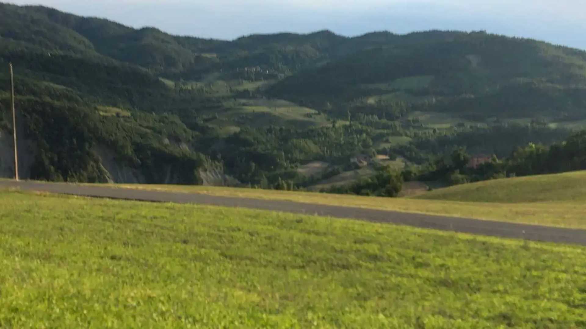 Confini terreni agricoli: le azioni legali