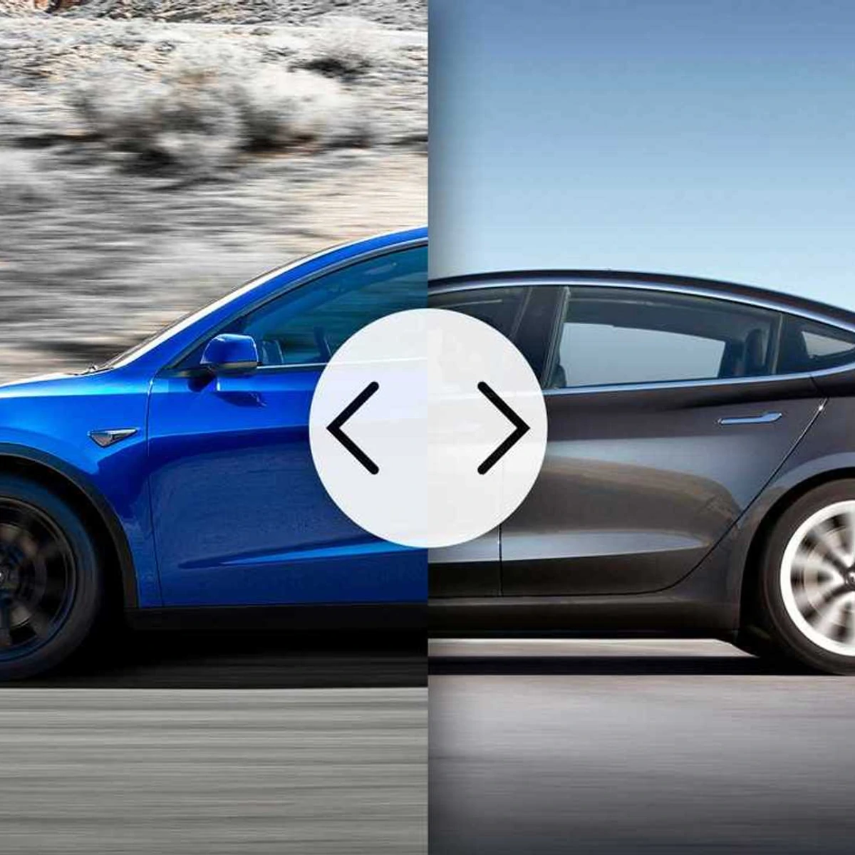 Tesla compare model 3 and y store