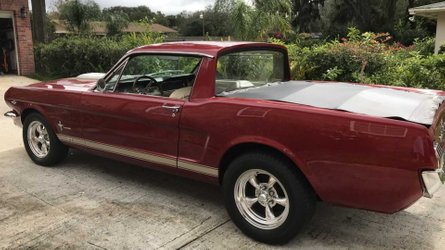 Muscle Articles | Motorious