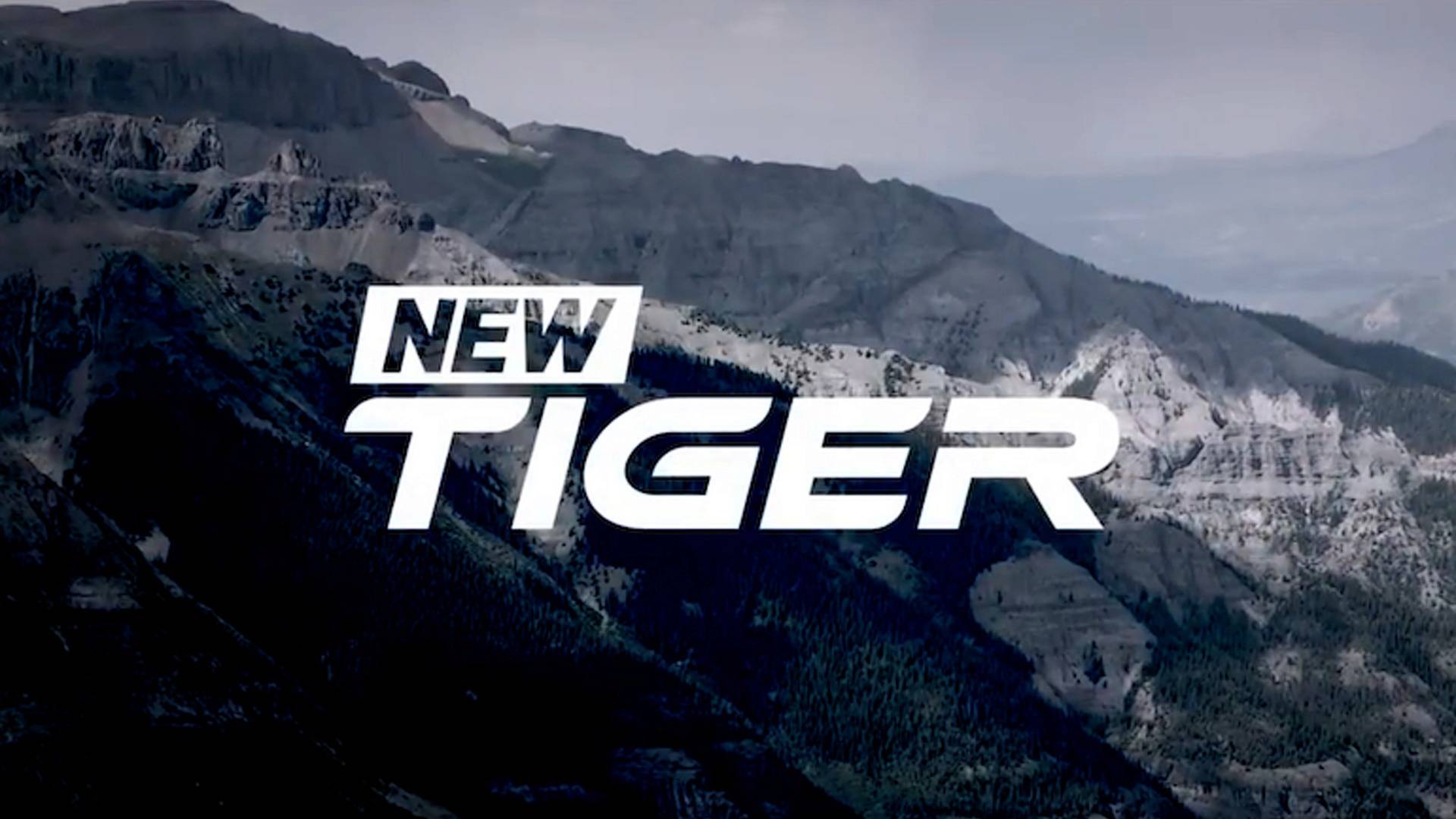 Triumph Teases New Tiger