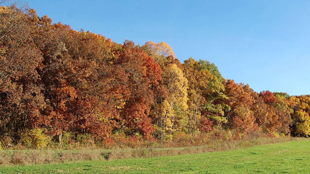 It's Fall - Time To Plan A Color Ride