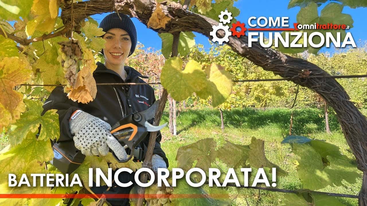 Pellenc C3X: le forbici potatura in prova con Giulia Tonello