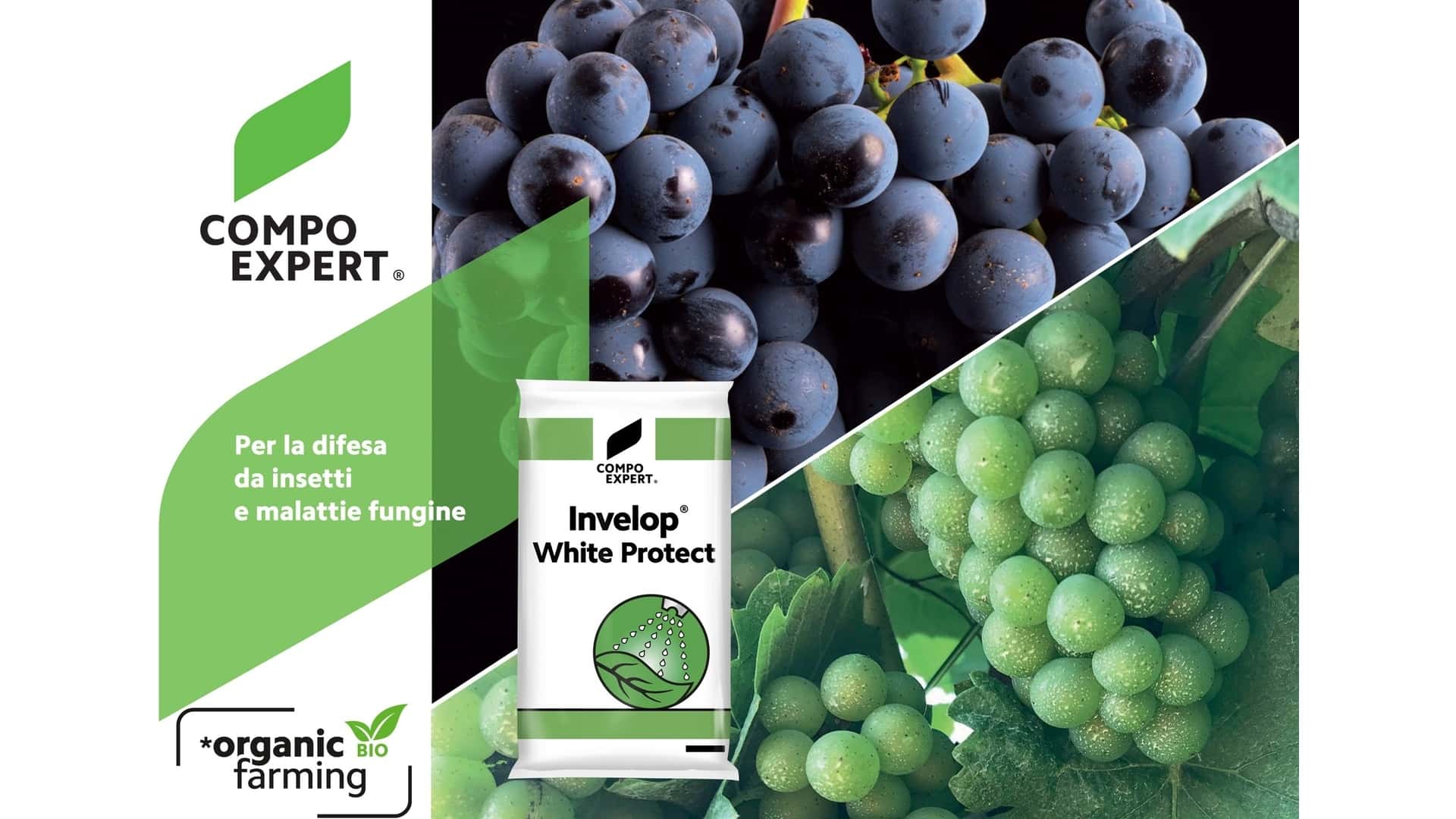 Compo Expert: Invelop White Protect a Enovitis in Campo 2023