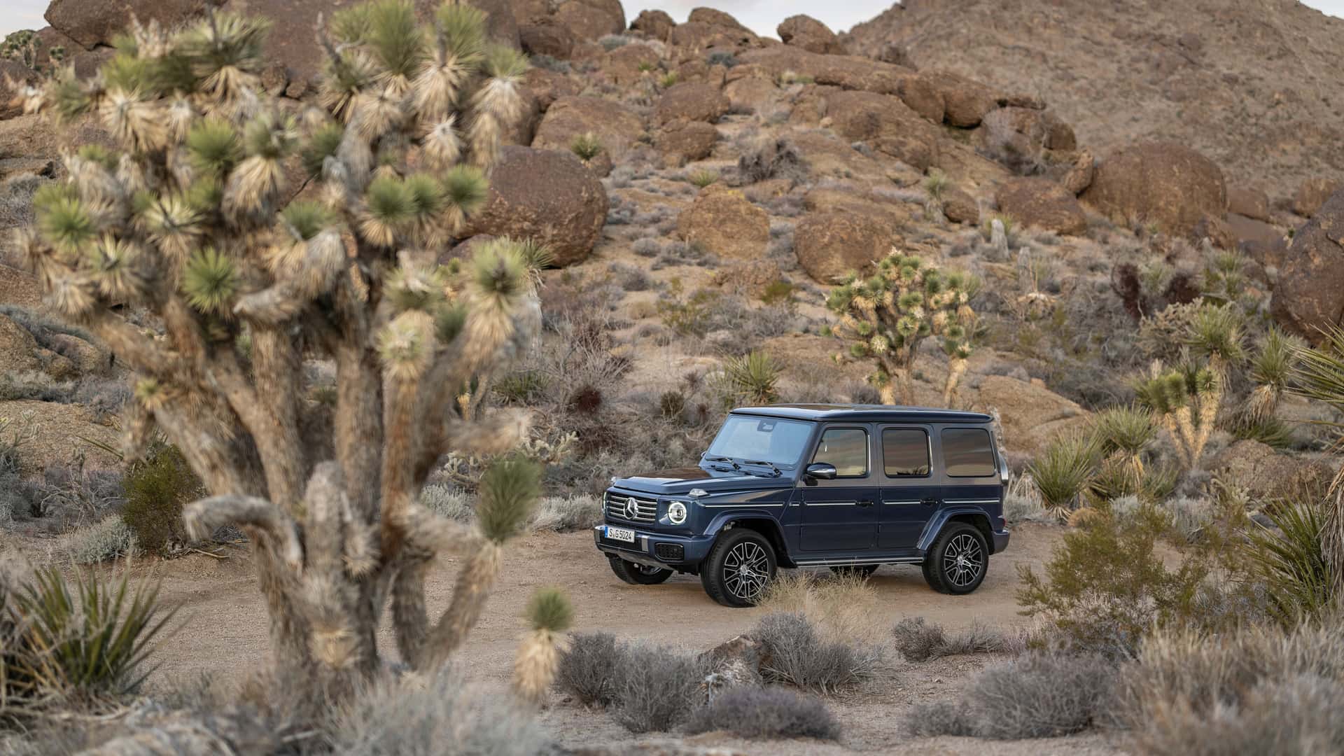 Mercedes-Benz Clase G (W463) facelift (2024) - Forocoches