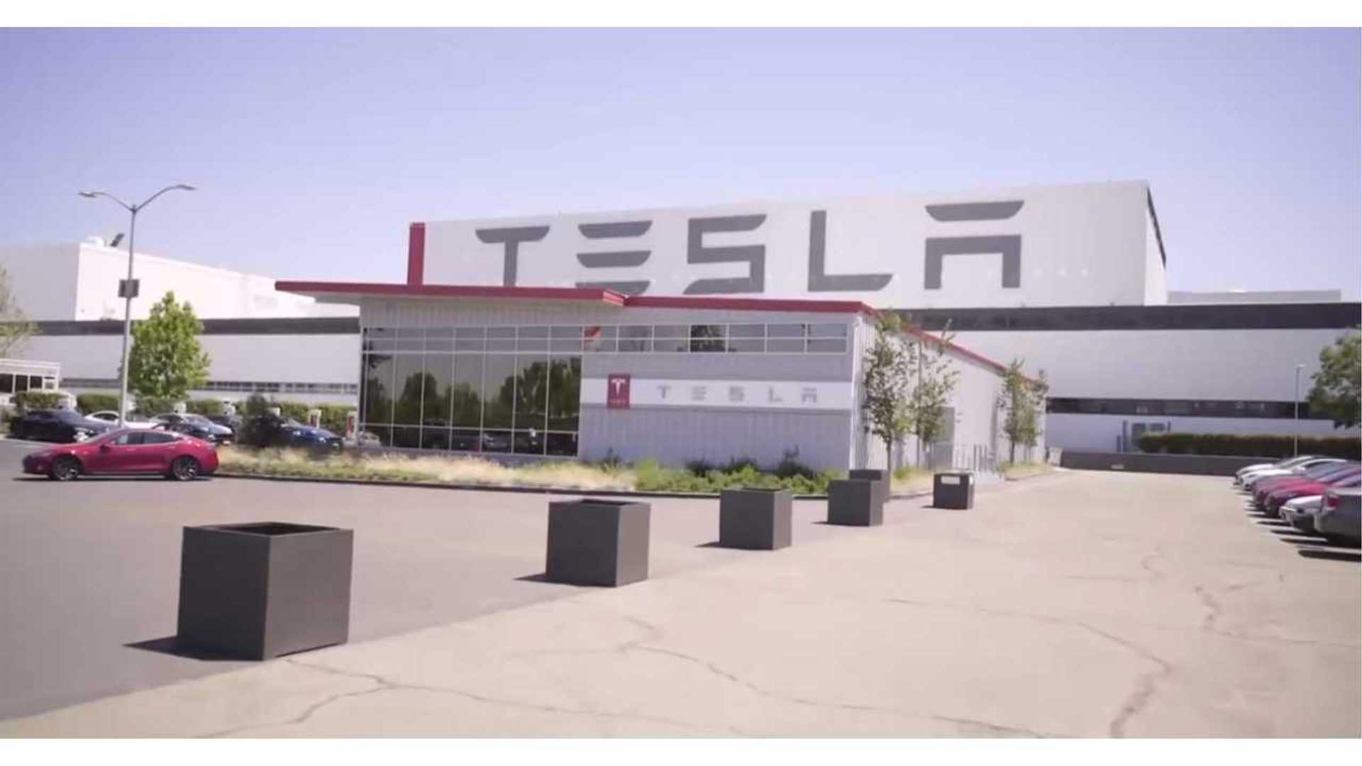 Tesla's Success: 'A Combinanation Of A Thousand Heroic Feats' (Book ...