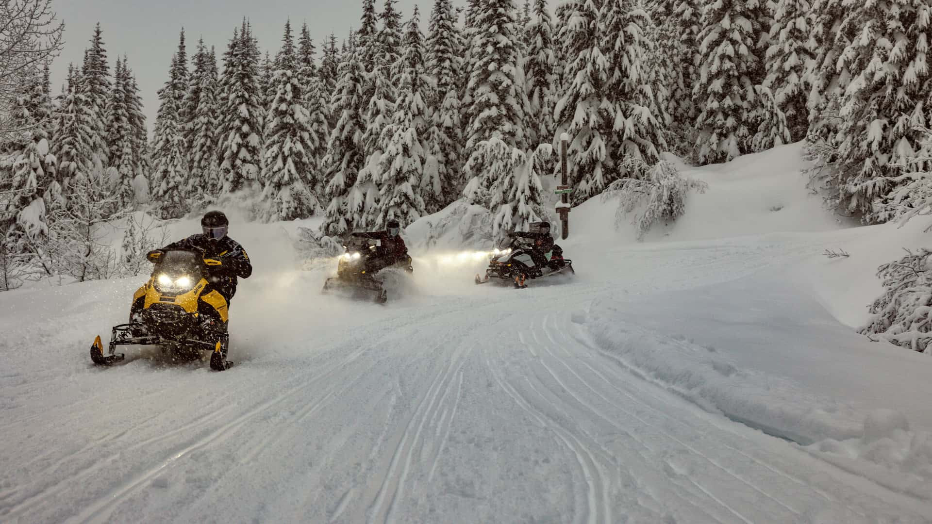 6 People Fell Through the Ice on Snowmobiles, a Cautionary Tale to ...