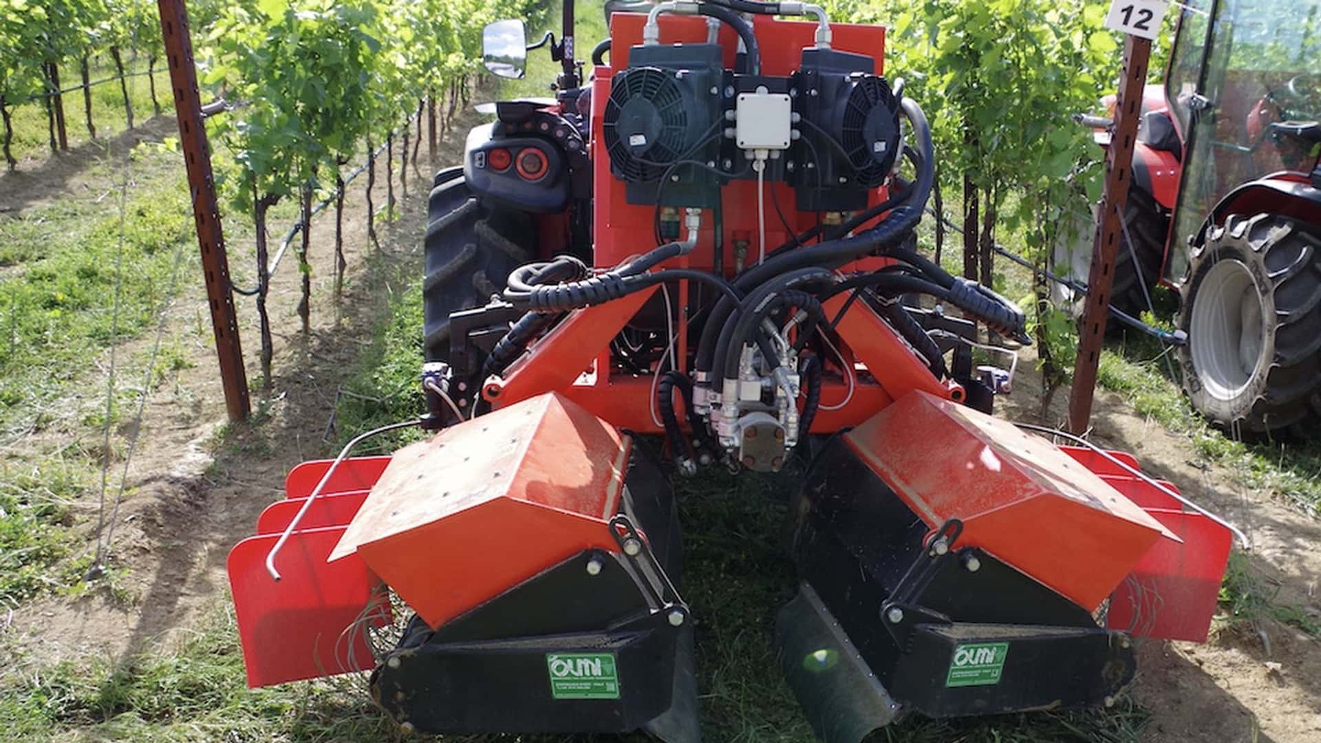Olmi: attrezzi sostenibili per la vite a Enovitis in Campo 2025