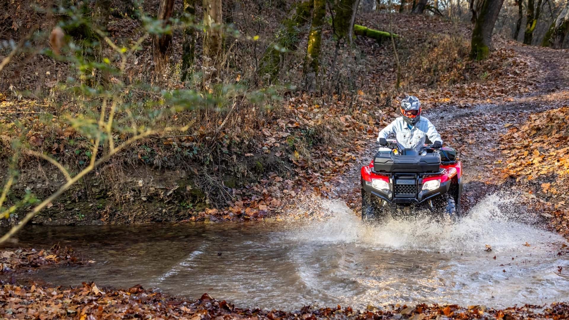 Here Are Honda's Updated ATVs, and Everything You'll Need to Know