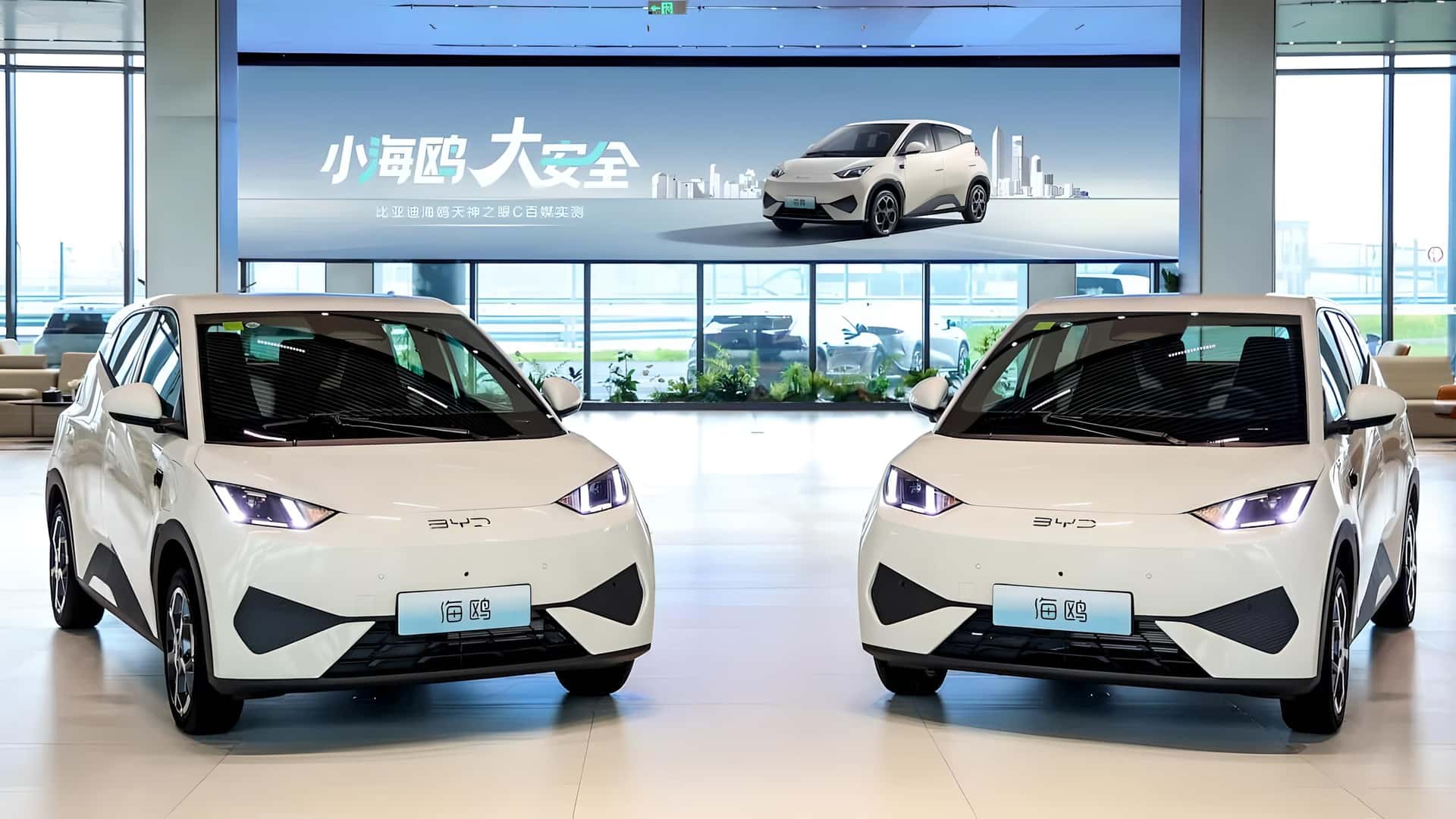 BYD Dolphin Mini atinge 1 milhão de unidades vendidas em apenas 2 anos