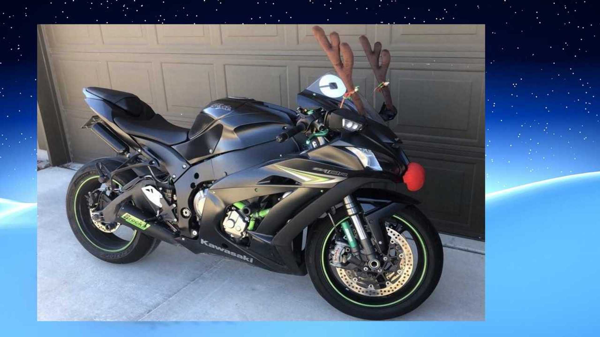 Santa's Alternative Reindeers Are All Decked Out