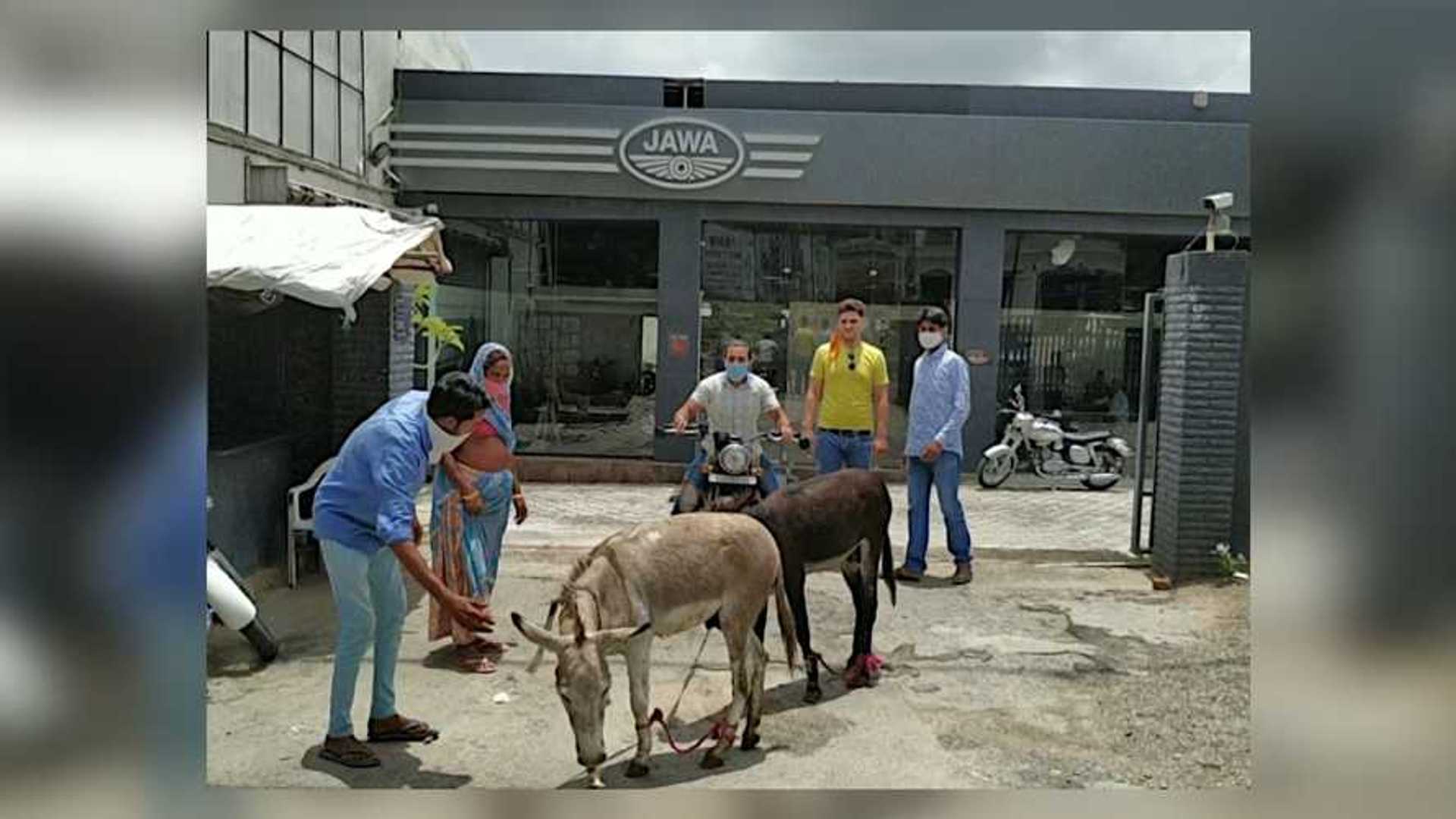 Angry Indian Jawa Owner Throws A Donkey Protest Over Bad Bike