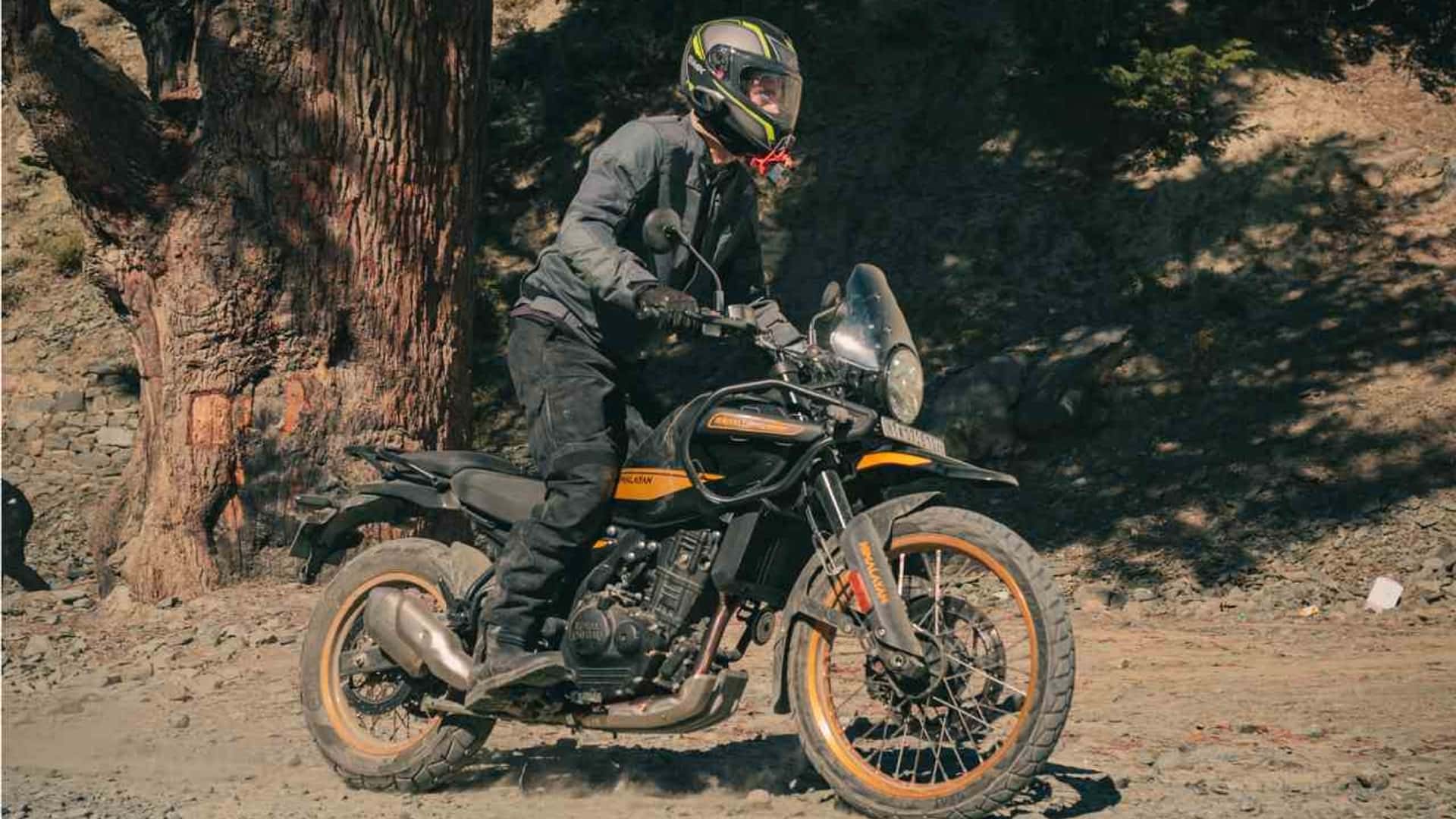 Oficial: Royal Himalayan 450 2025 chega ao Brasil por R$ 29.990