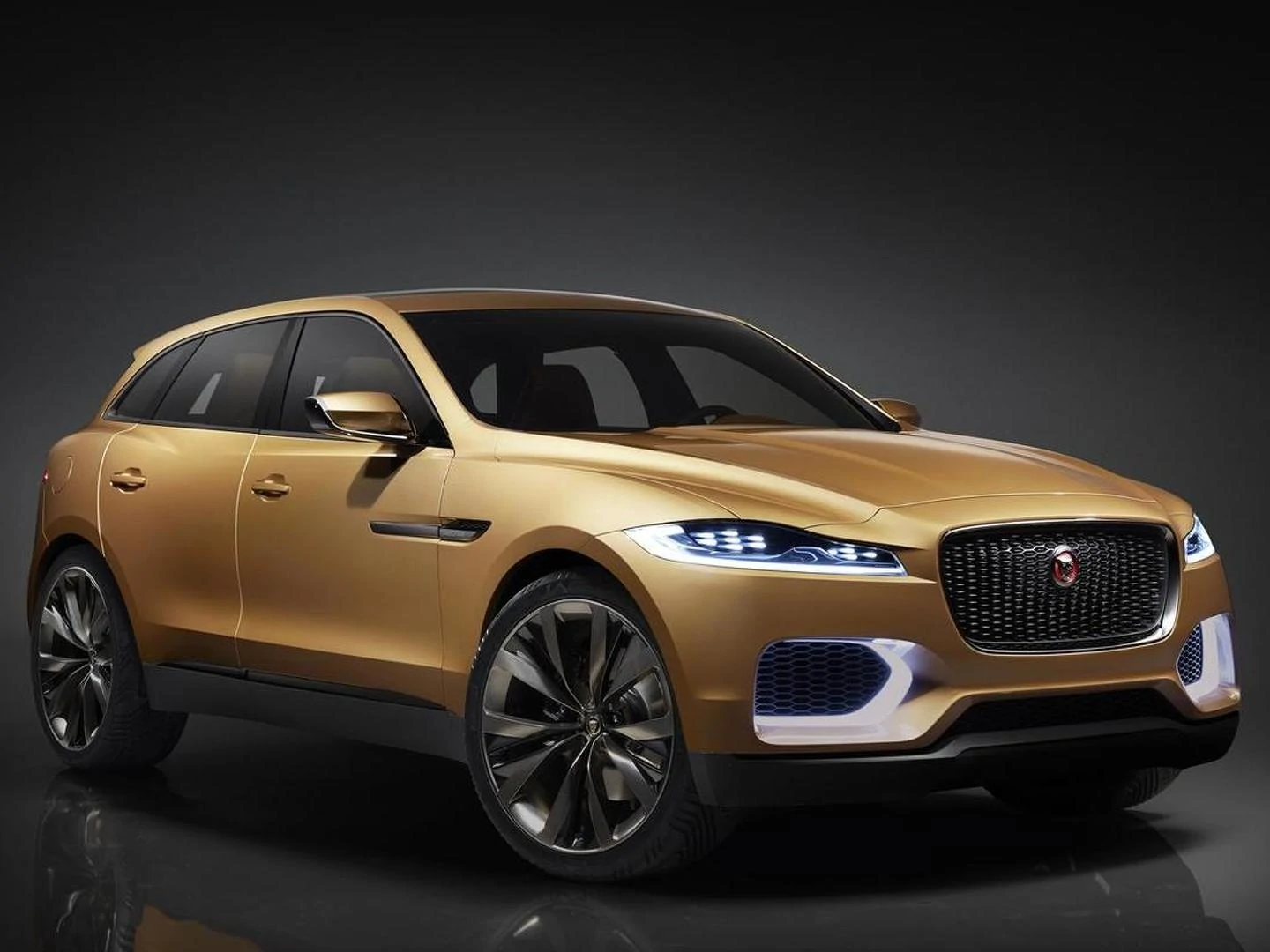C pace jaguar store