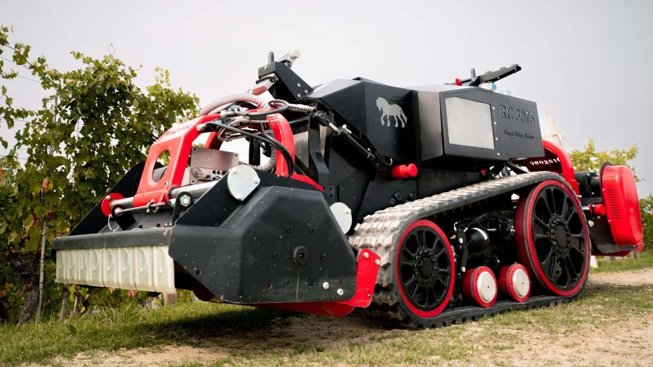 Black Shire RC 3075, robot da vigneto a Enovitis in Campo 2024