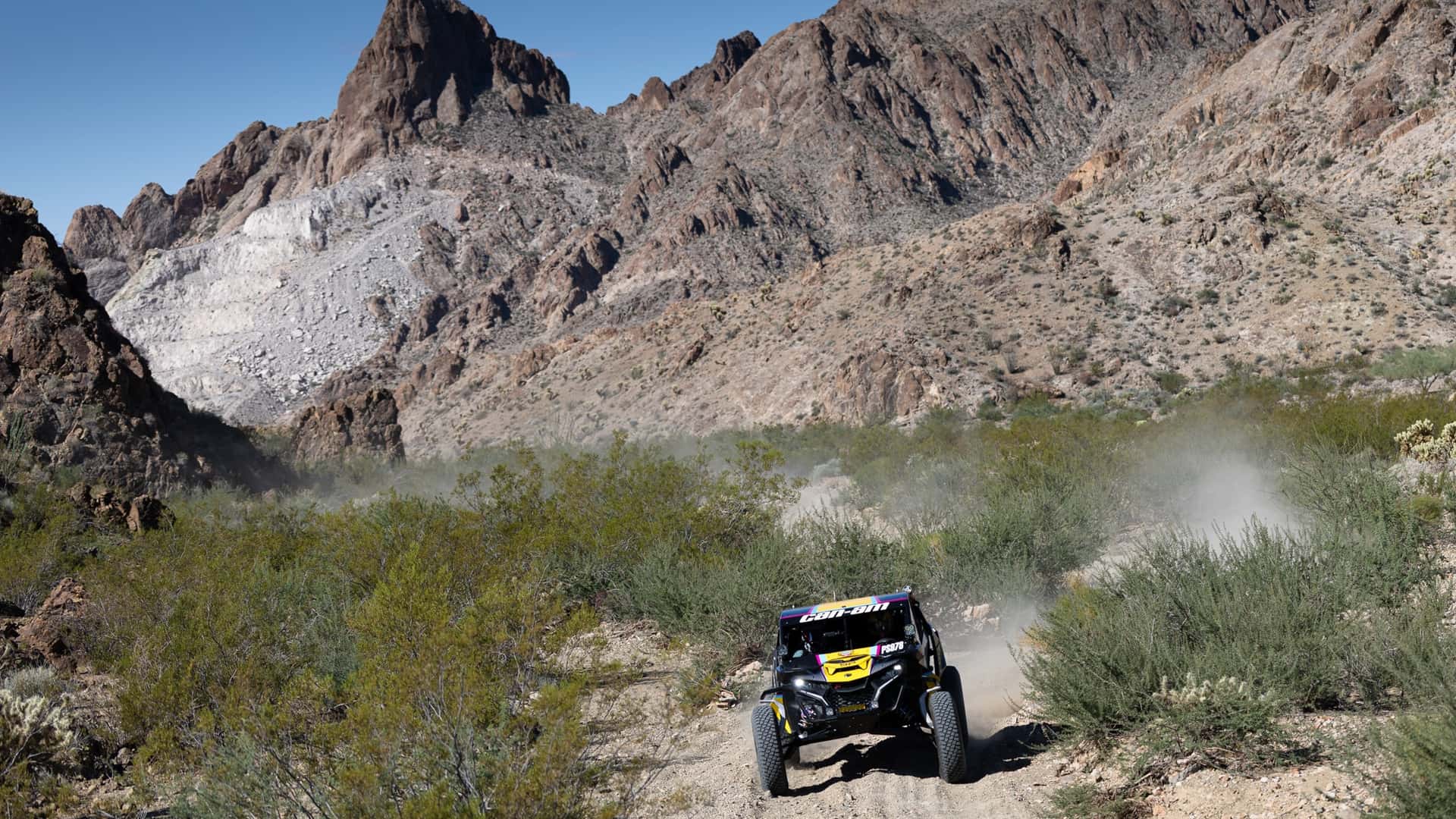 Rip and Dip Ranch Combines Off-Road Thrills with Lazy River Relaxation ...