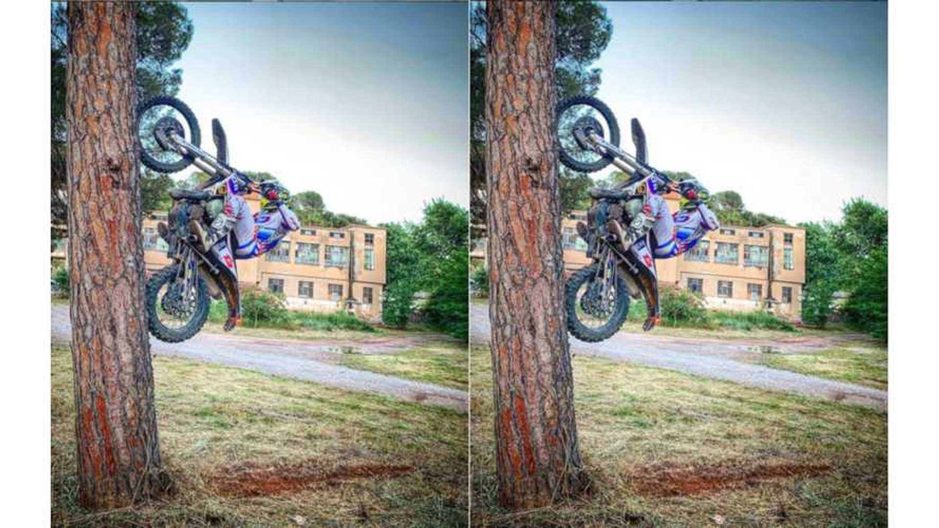 Stunt Rider Likes To Climb Trees With His Husqvarna