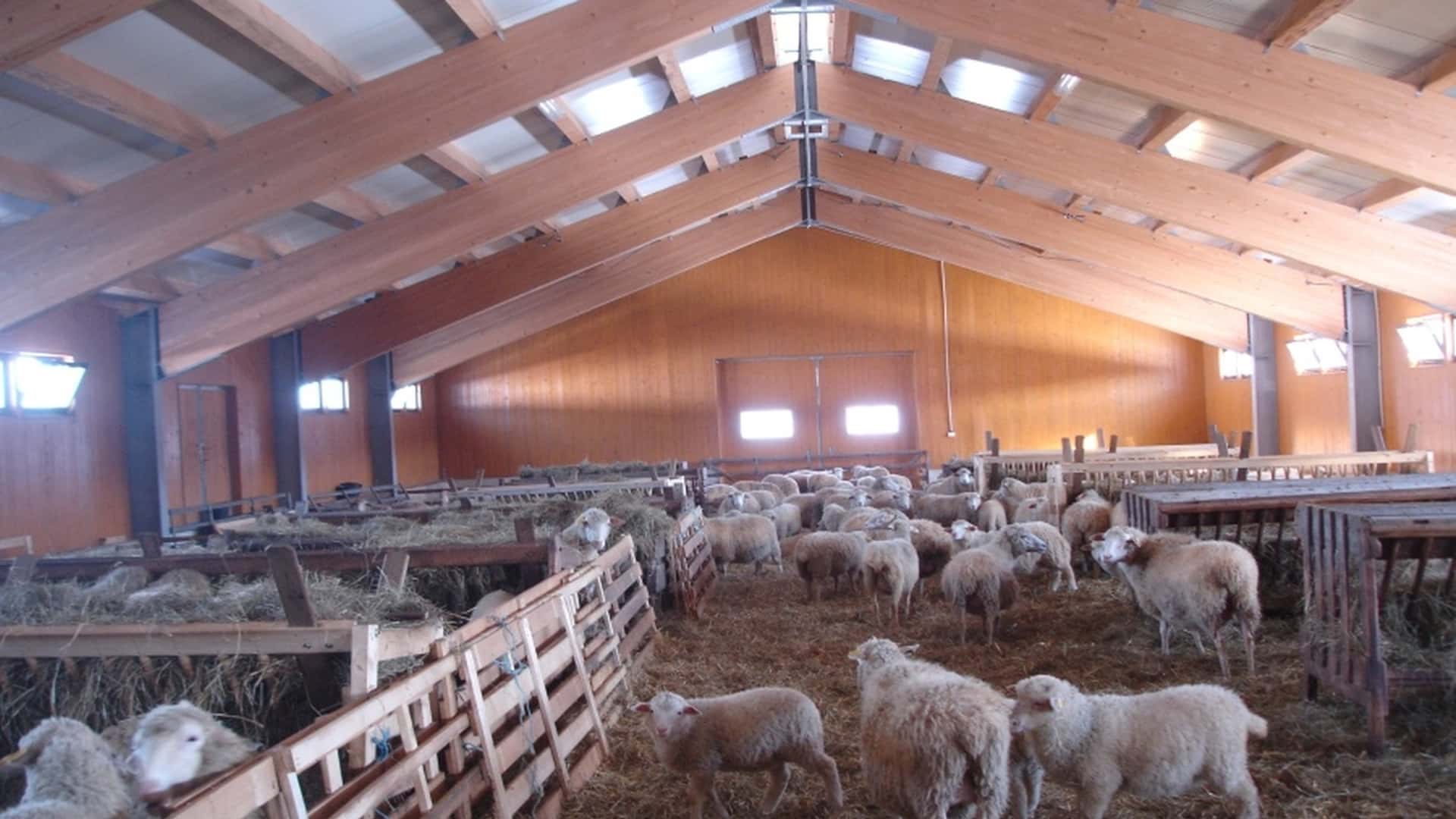 Wolf System: edilizia agricola ad alte prestazioni