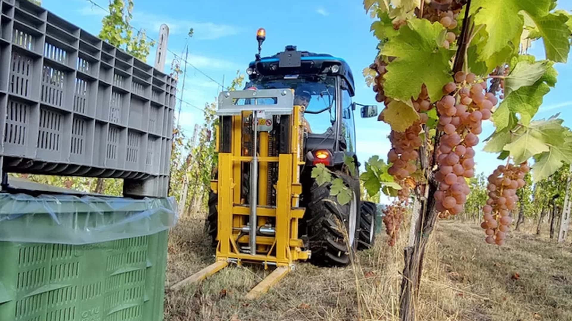 Triplex Videocard virtual museum Triplex Xabre Pro (SiS Xabre400 ...