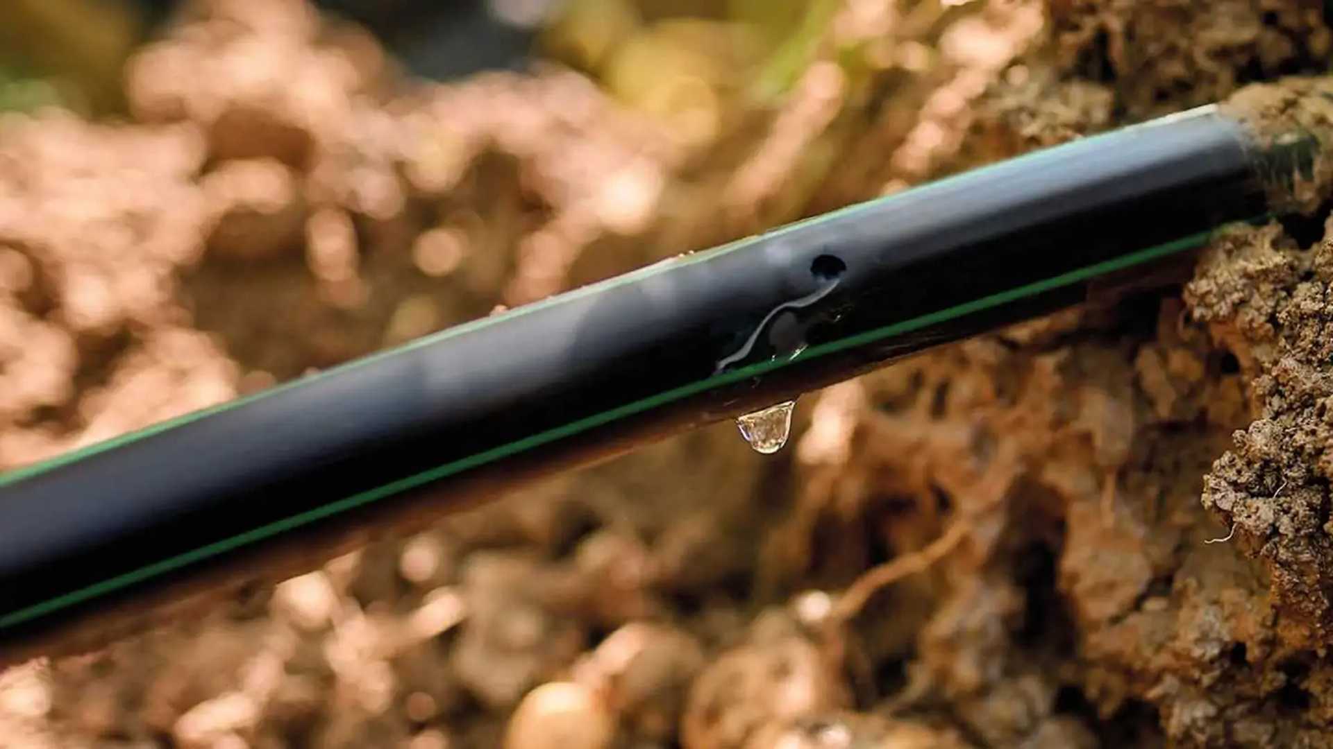 Irritec a EIMA 2022: le novità sull'irrigazione smart