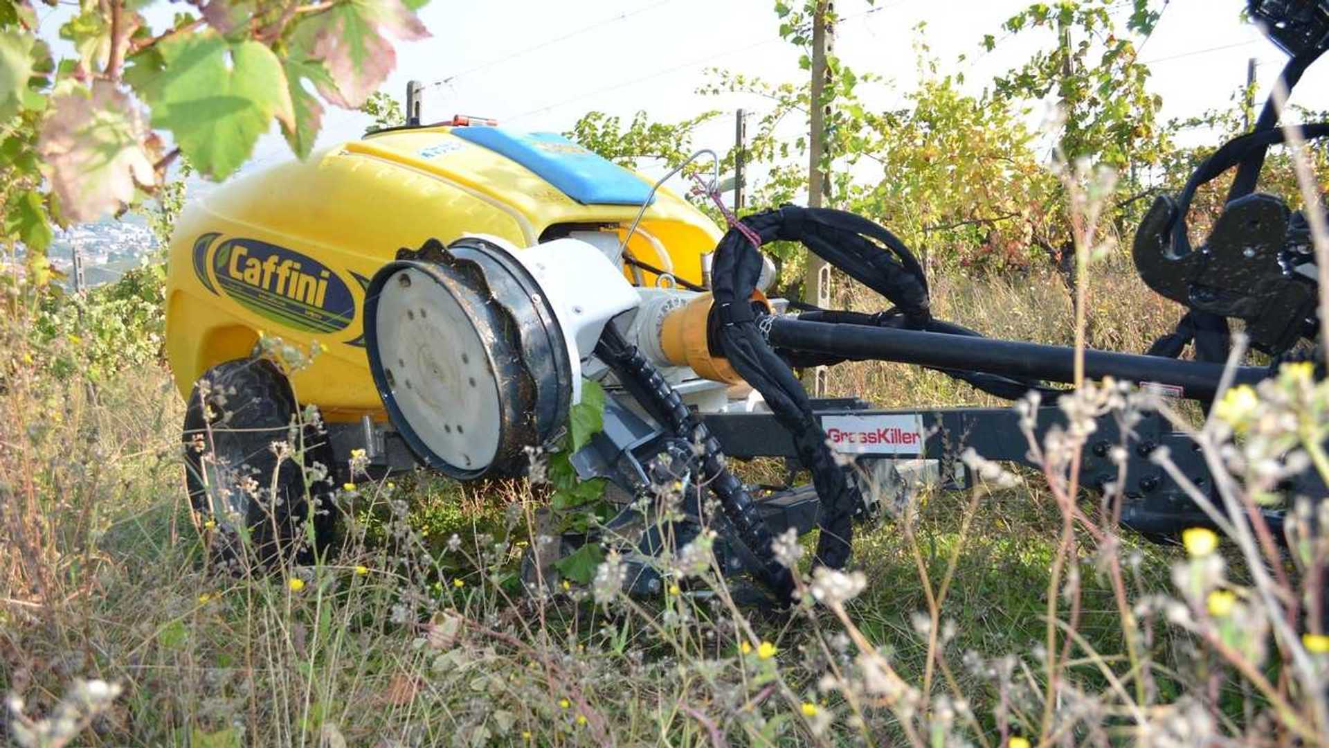 Caffini GrassKiller: ecco come funziona il diserbo ad acqua