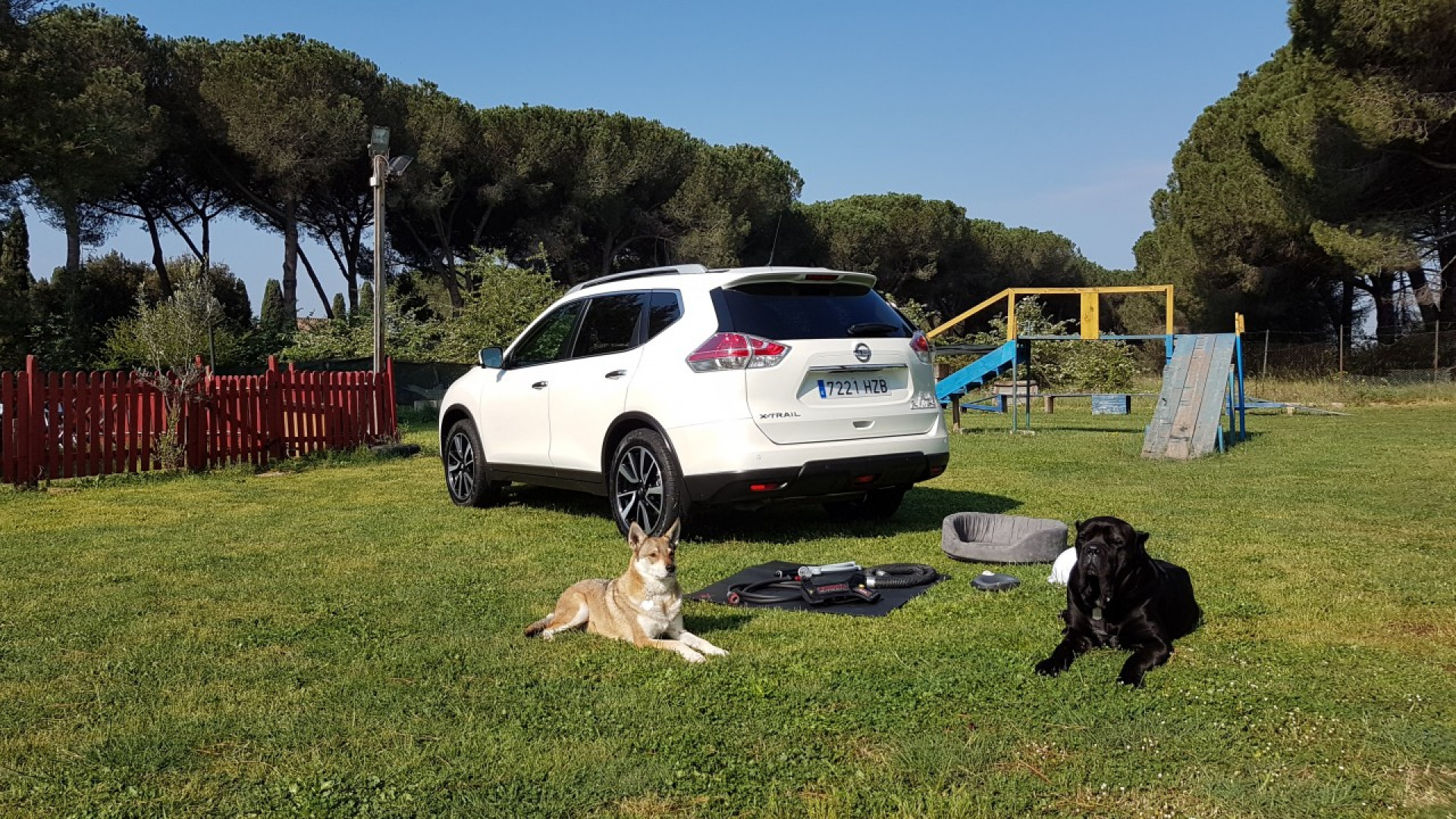 Nissan X-Trail 4Dogs, abbiamo provato la prima "auto per cani" [VIDEO]