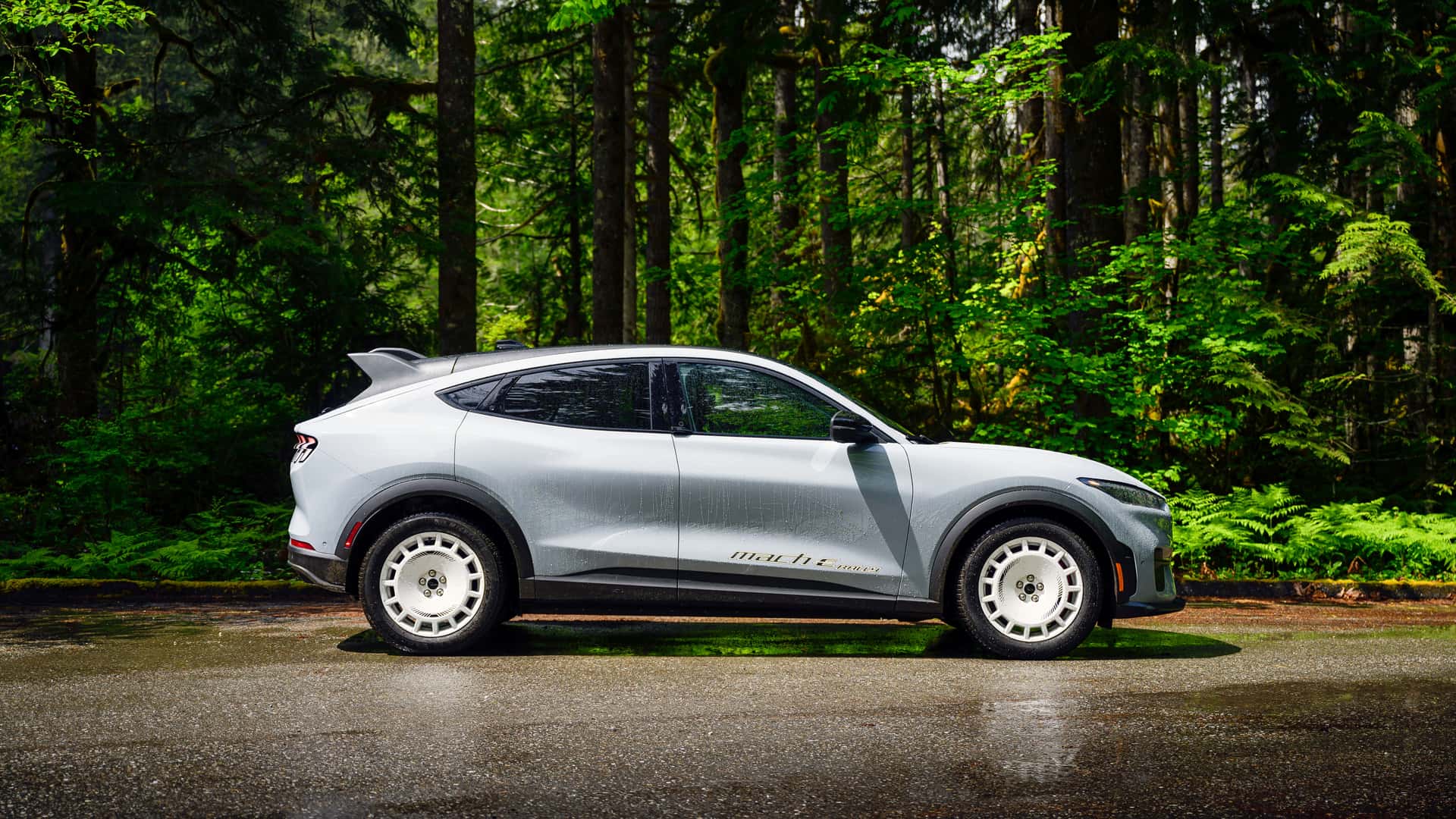 Ford Mustang Mach-E Doors Fail, Trapping Infant Inside