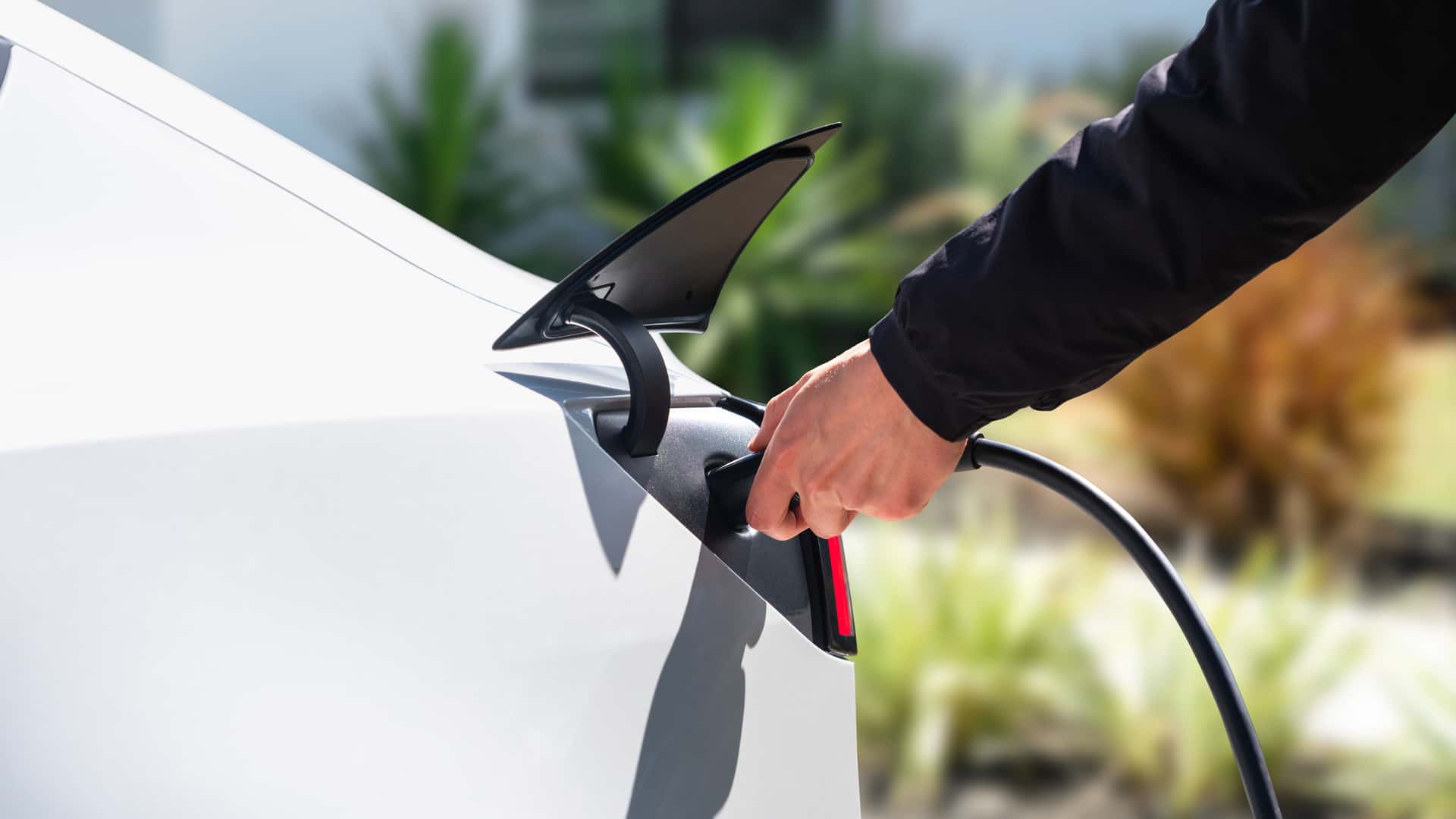 I ricavi deludono: a Tesla basteranno le Model 3 e Model Y Standard?