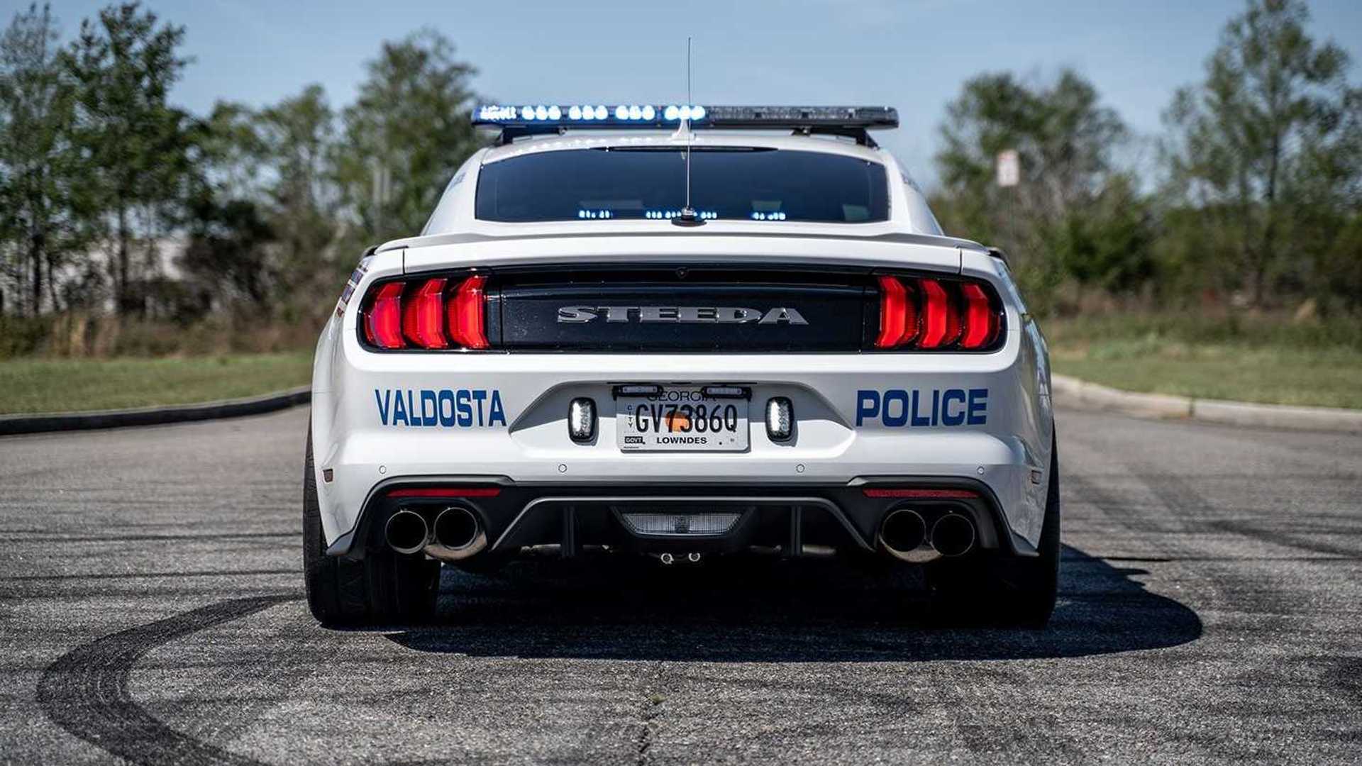 Mustang Del Policía Estatal De Florida