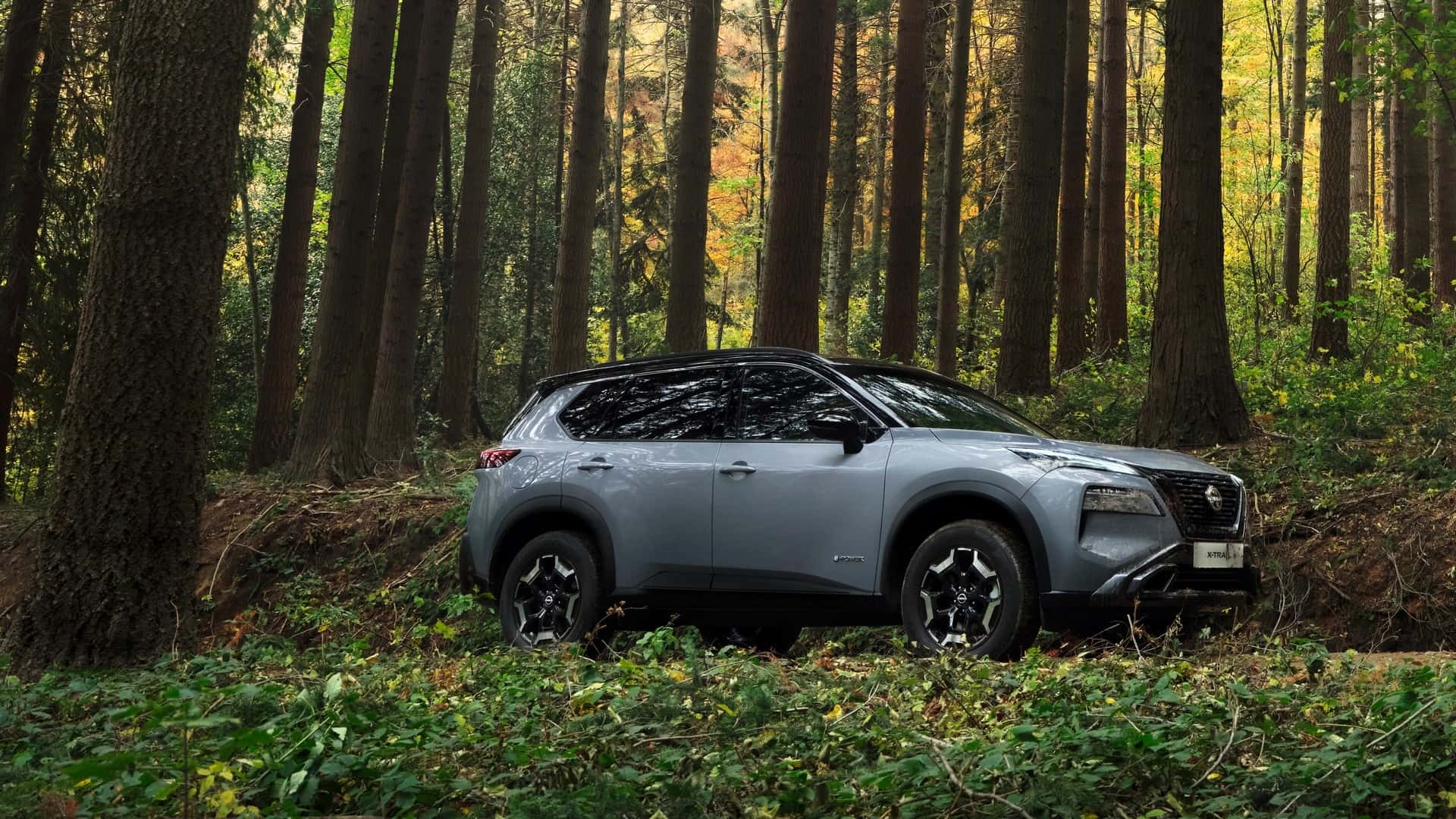 Nissan X-Trail N-Trek, il SUV più avventuroso