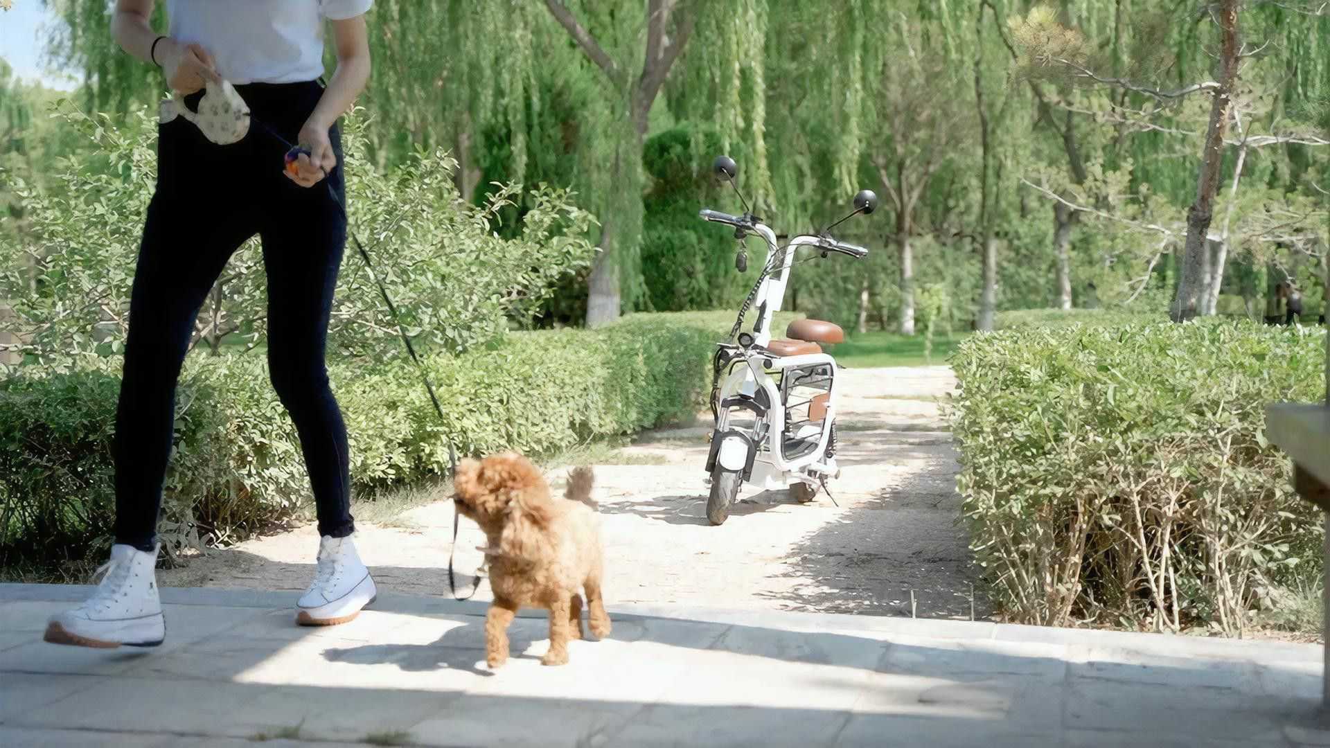 Meet Mopet, A Tiny Electric Moped For You And Your Best Furry Friend