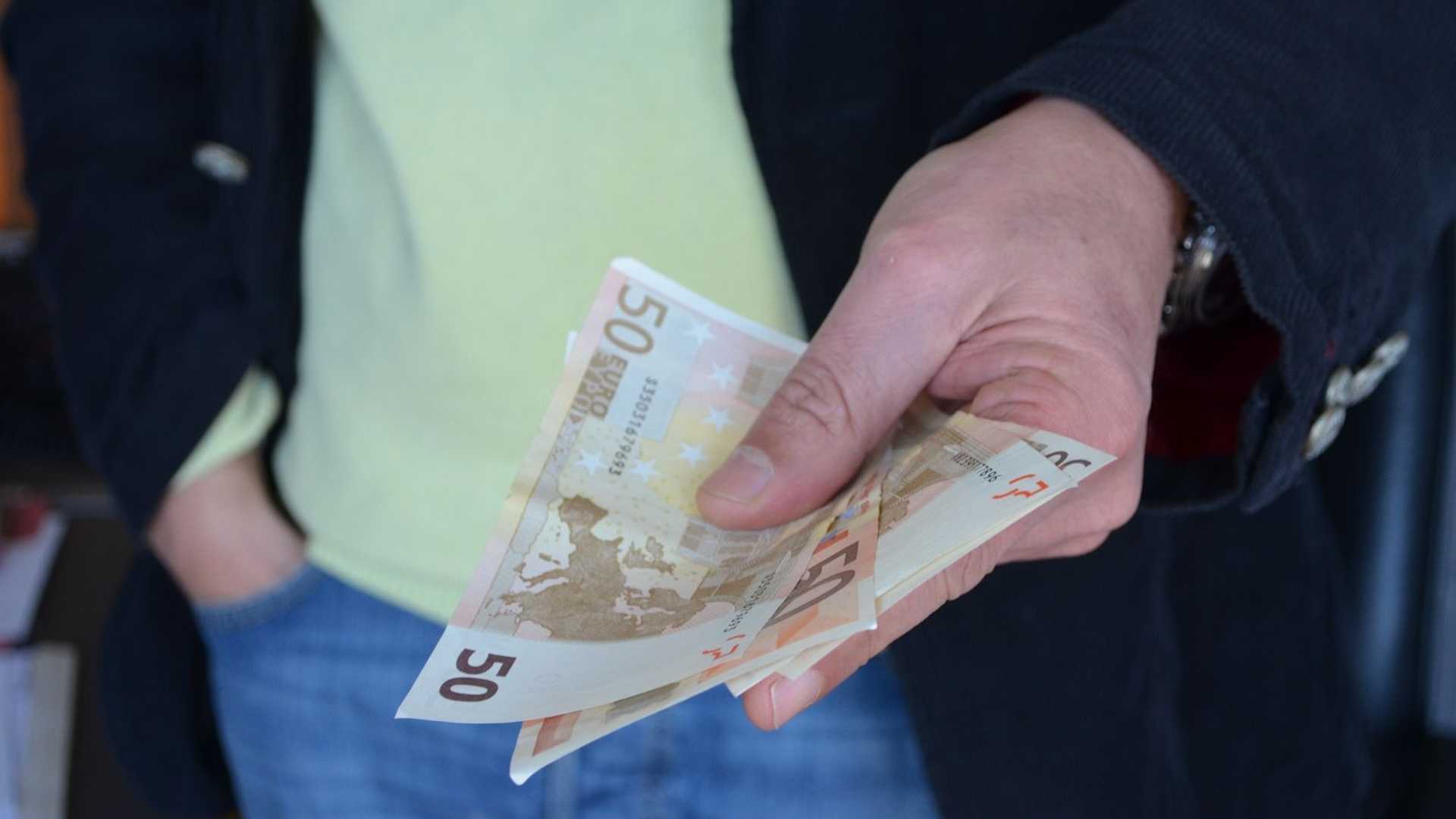 Redditività impresa agricola: vitale per le rate-finanziamenti