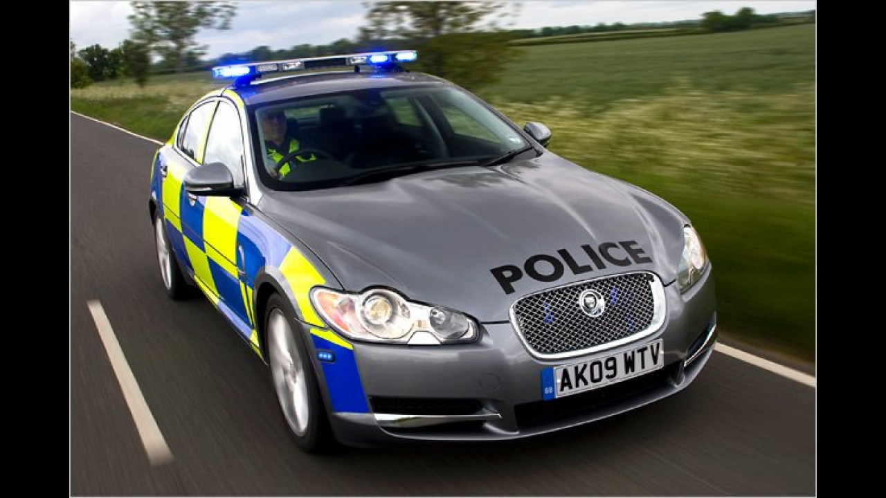 Blaulicht-Milieu: Polizeiautos aus ganz Europa