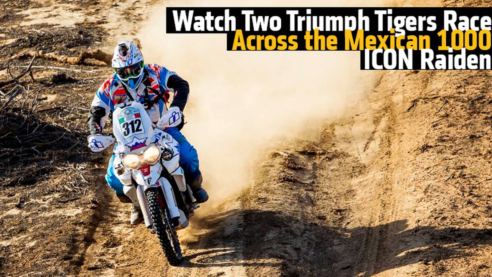 Watch Two Triumph Tigers Race the Mexican 1000 - ICON Raiden