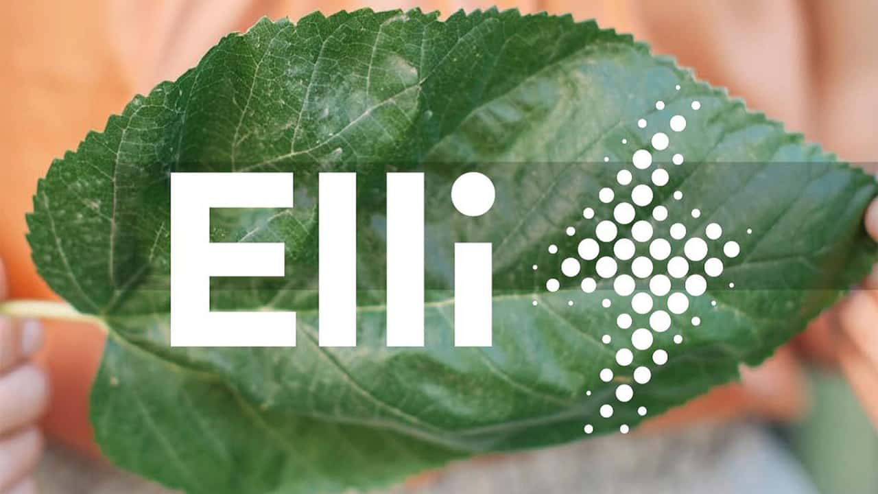 VWs Ladesparte Elli bietet dynamischen Stromtarif an