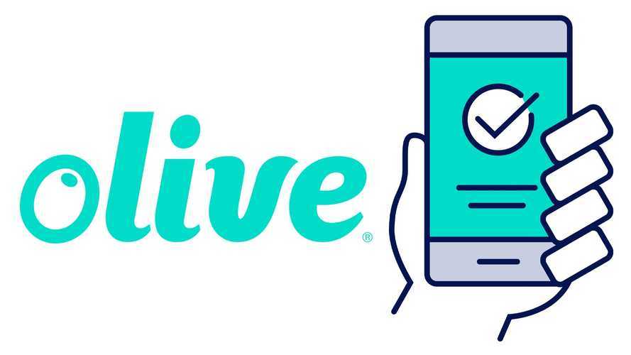 Olive Communications Logo