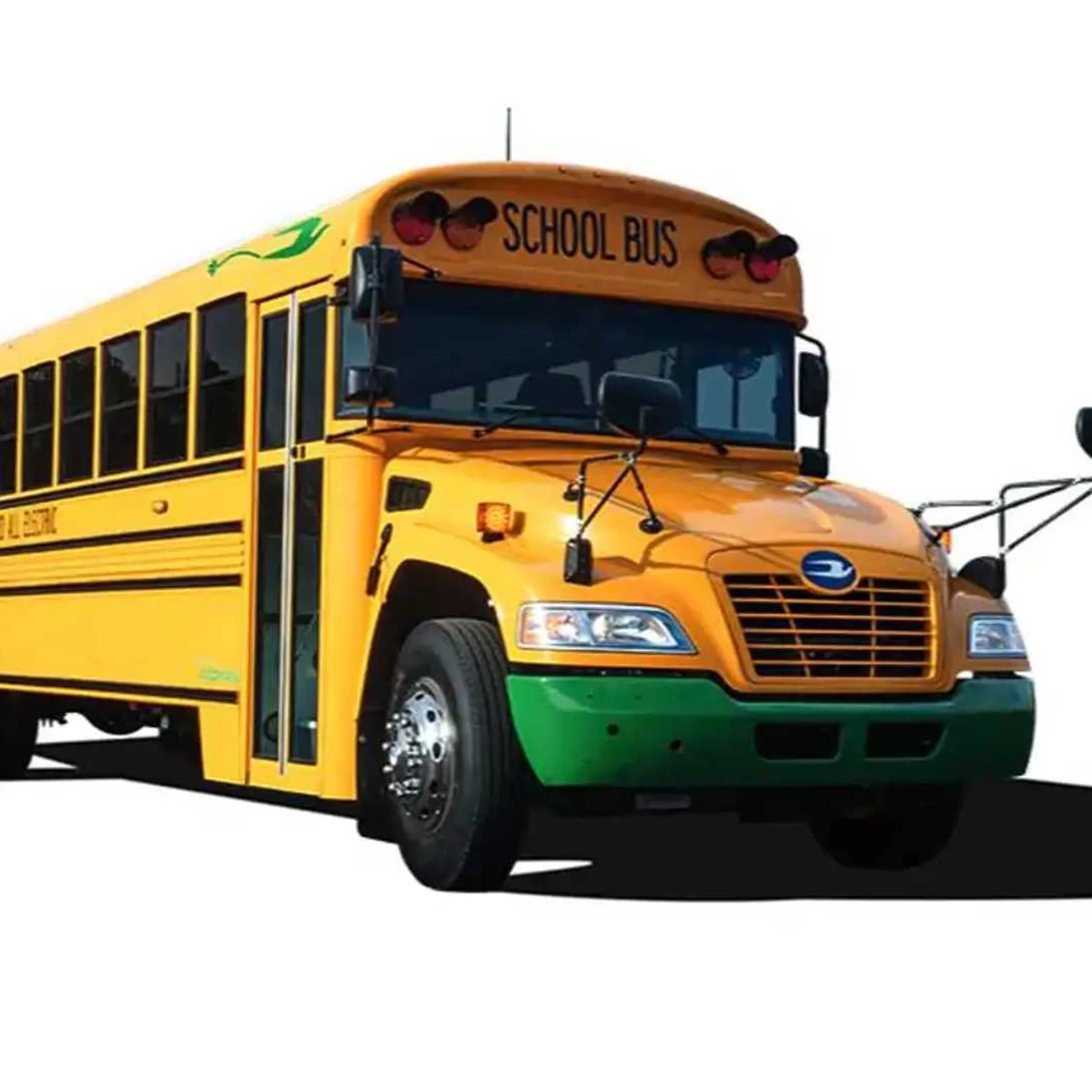Blue Bird School Bus Images
