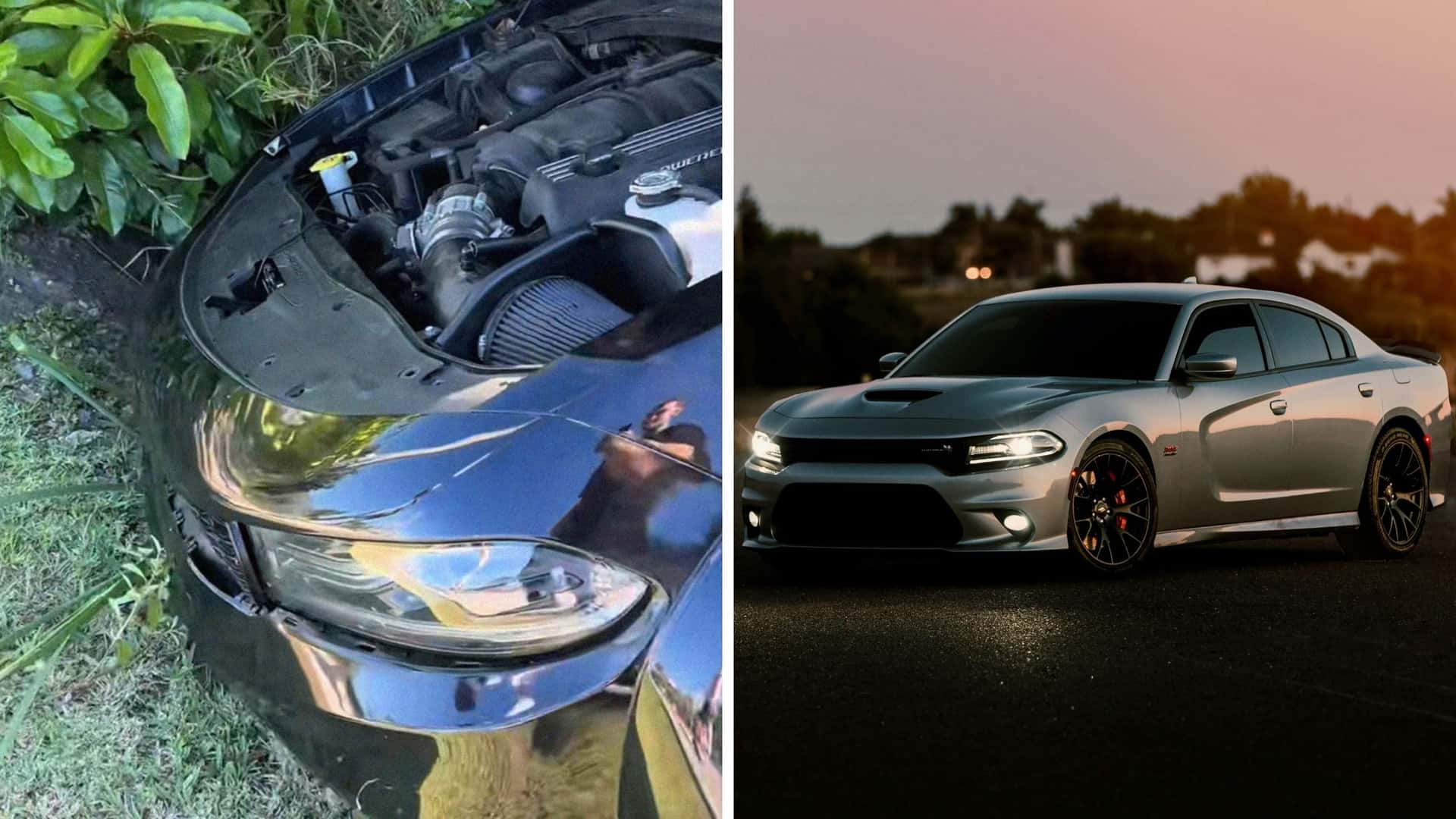 Dodge Charter: What Is a Scat Pack?