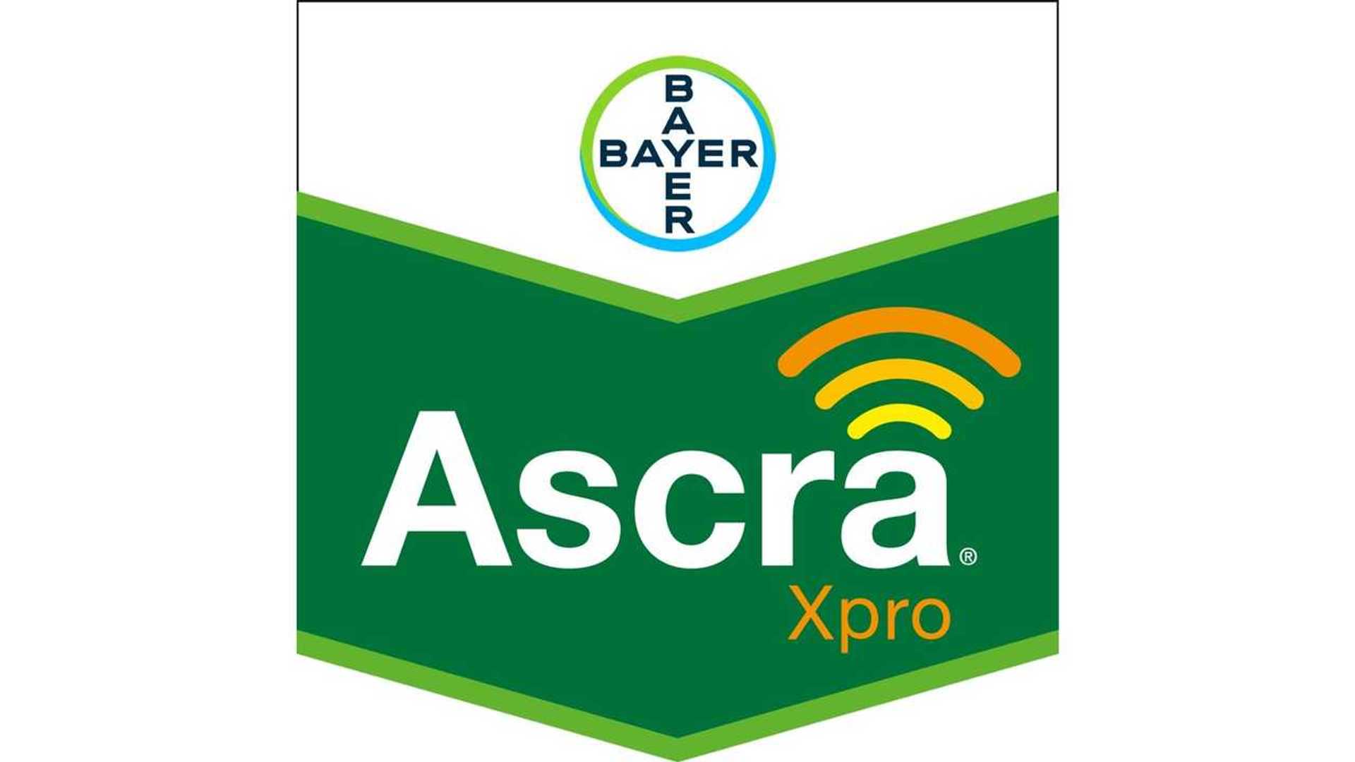 Bayer Ascra Xpro: cereali protetti e produttivi