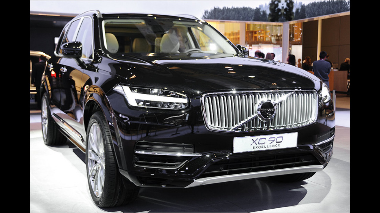 Die Shanghai-Stars in der Bildergalerie