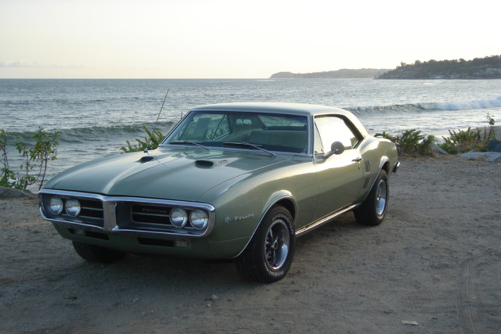 Firebird