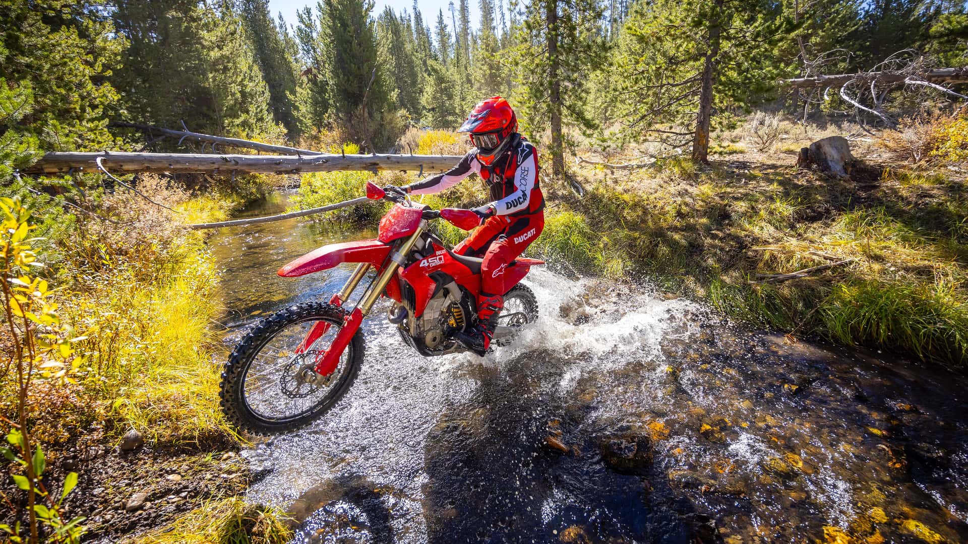 All New Desmo450 EDX Brings Ducati Screaming Into the Cross-Country ...